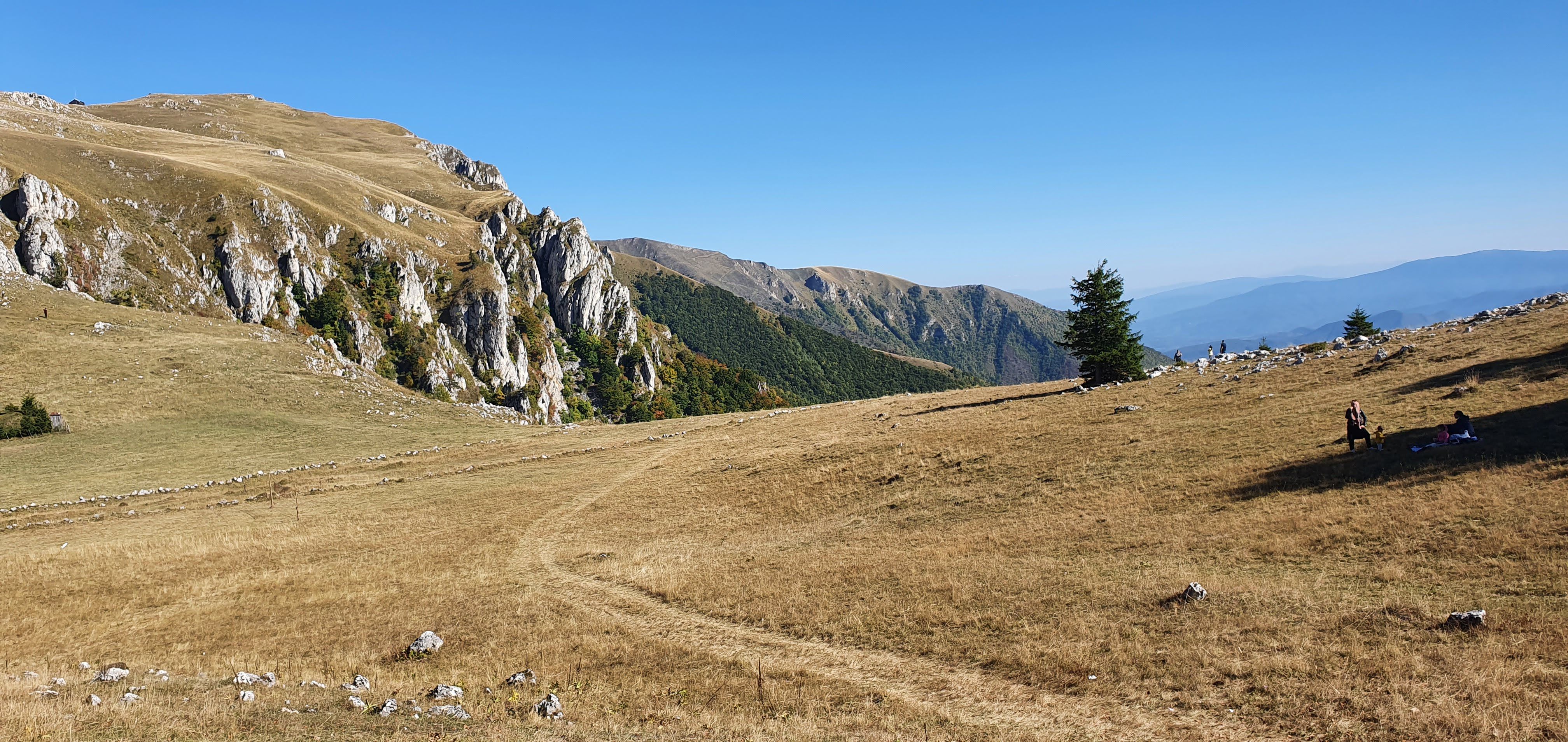 Panoramic View of an Alpine Pasture · Free Stock Photo