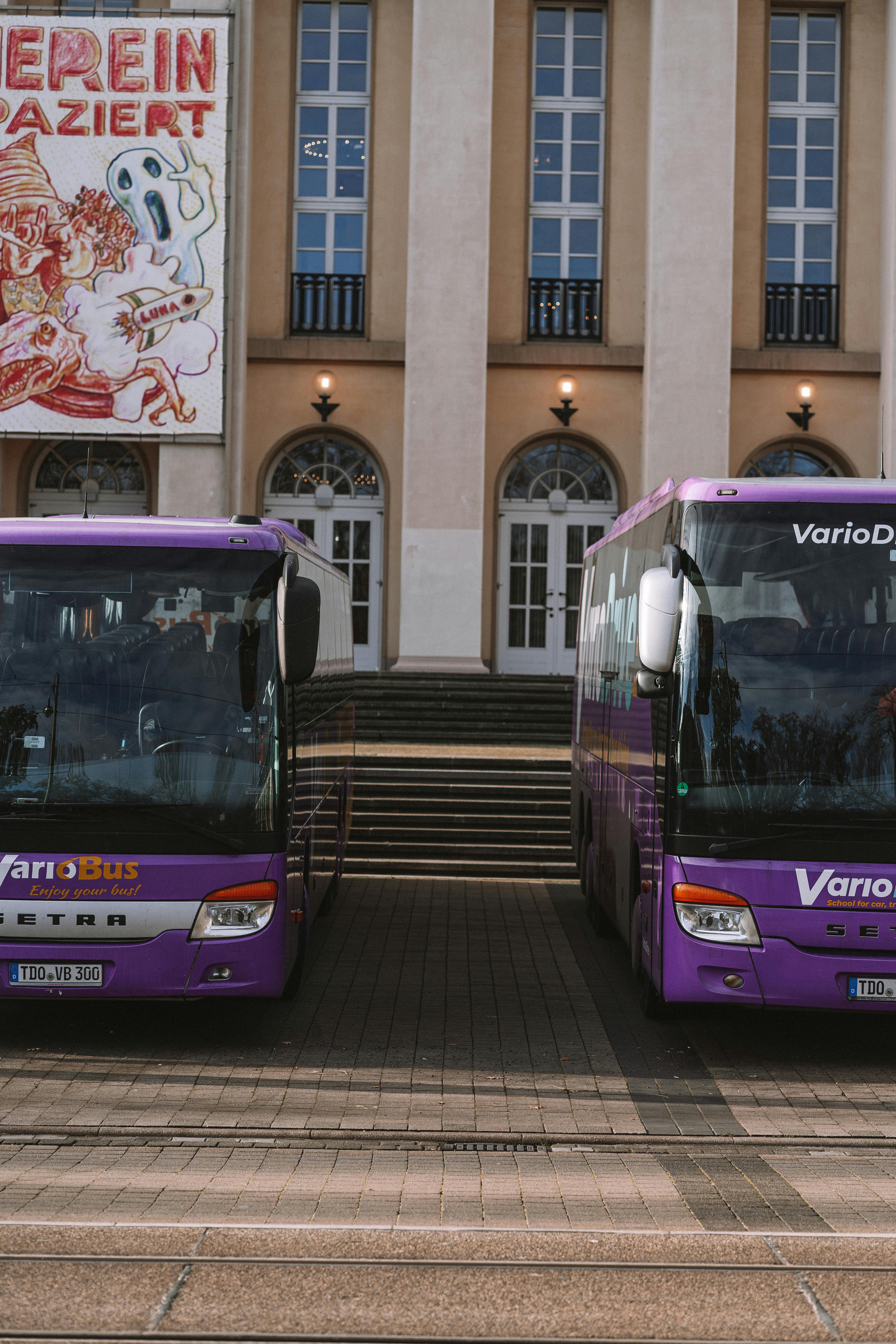 Purple Buses Parked in Front of a Building · Free Stock Photo