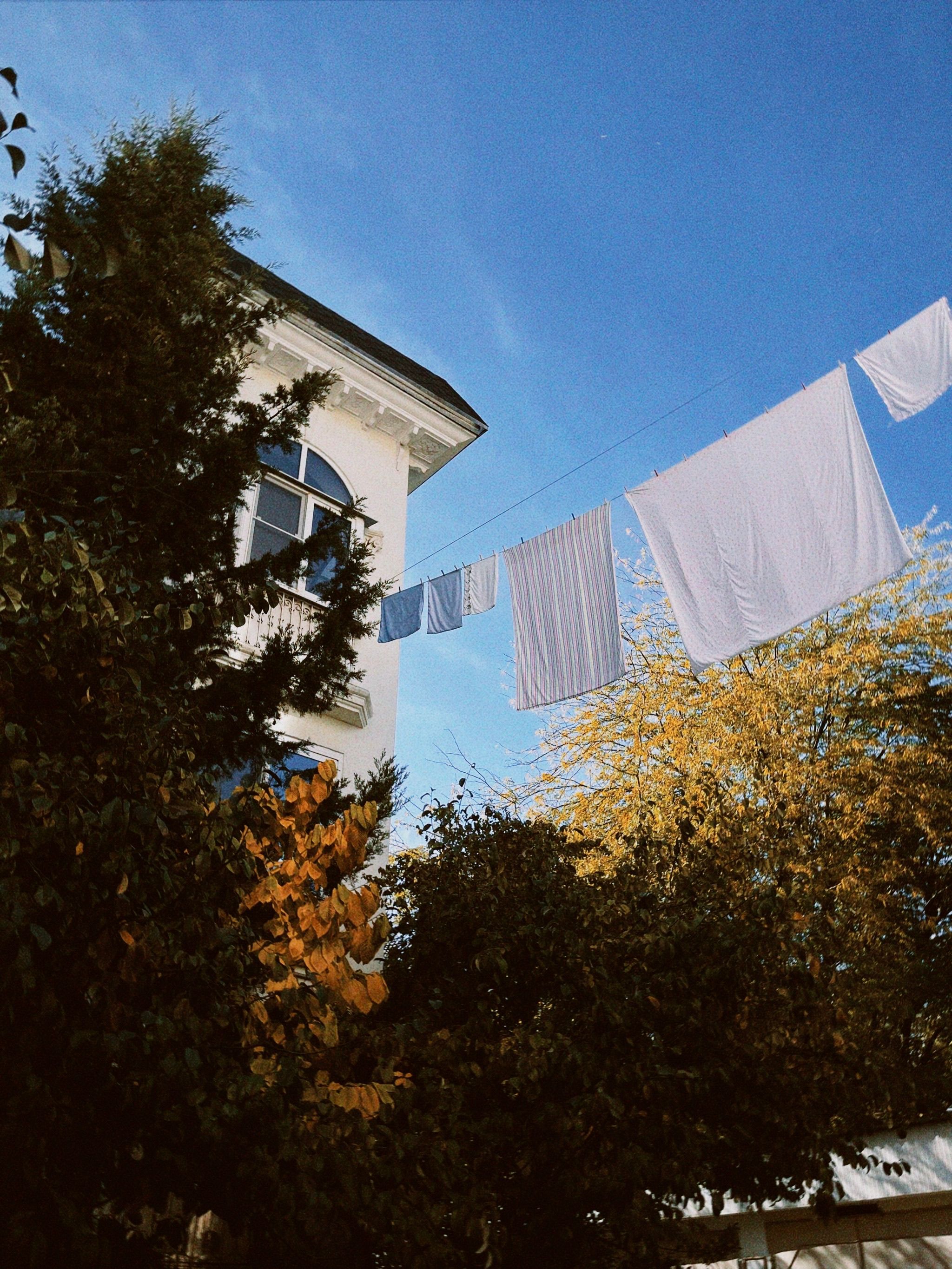 White Bottoms on Clothes Line · Free Stock Photo