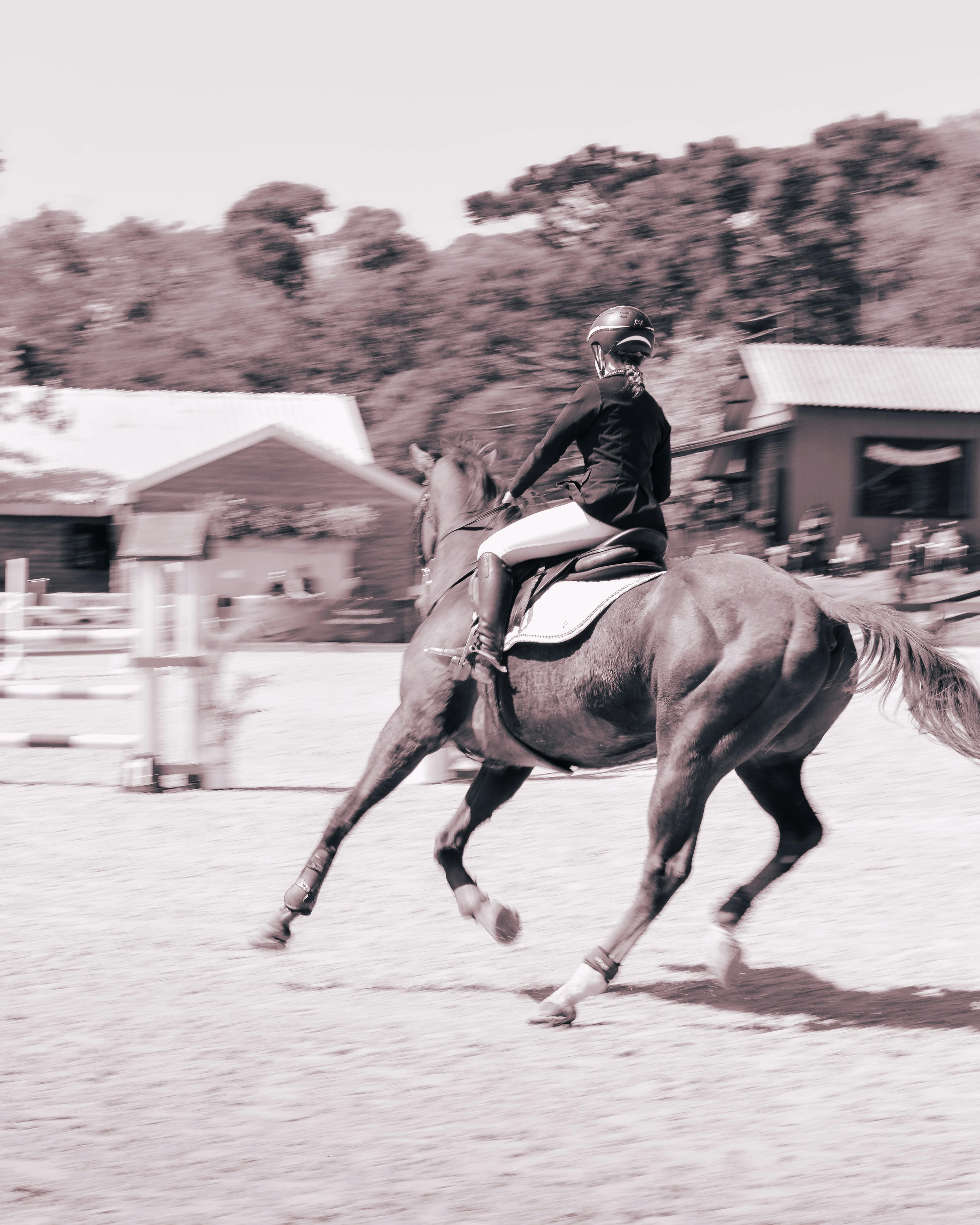 Alisson Joan - 写真