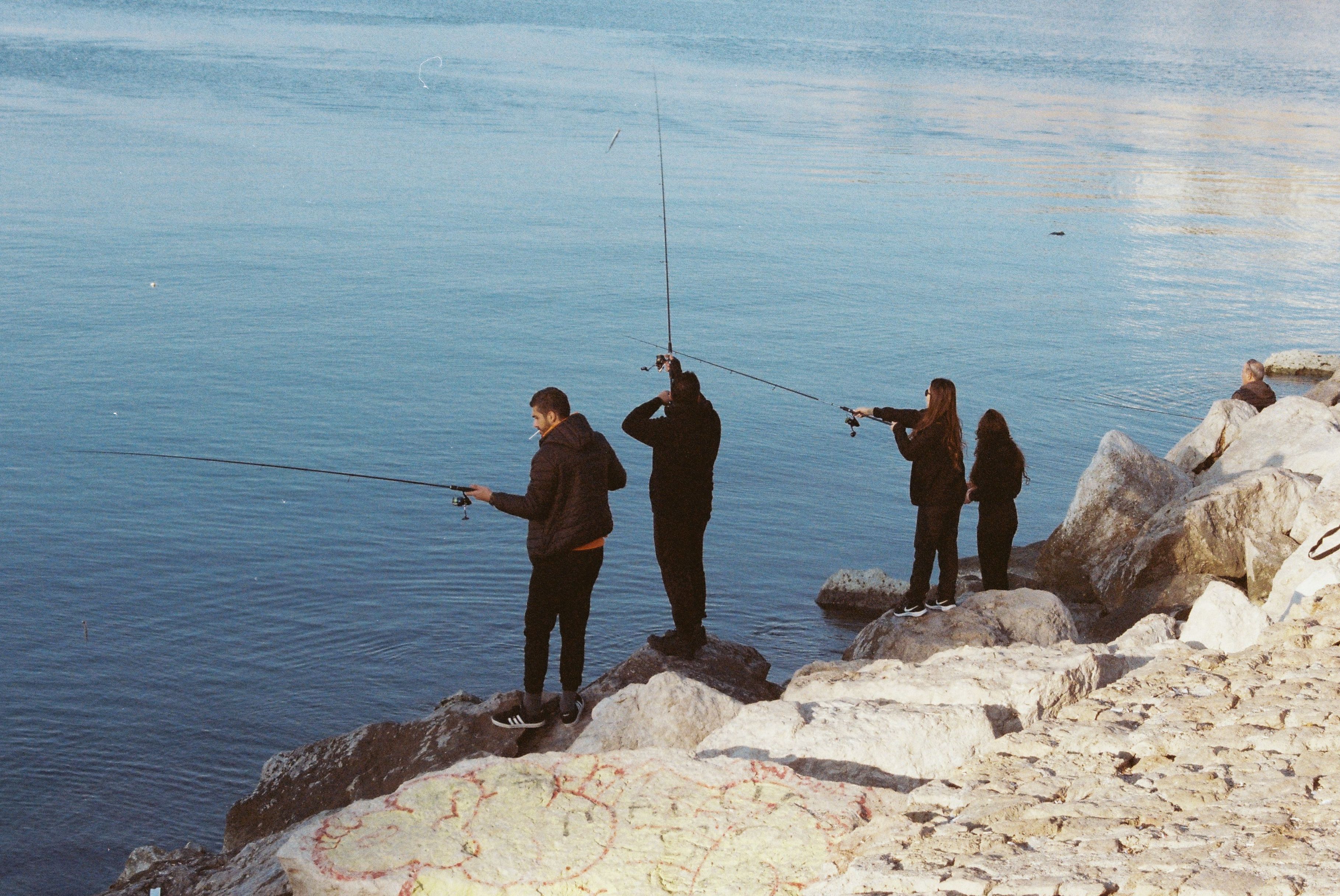 People Fishing on Seashore · Free Stock Photo