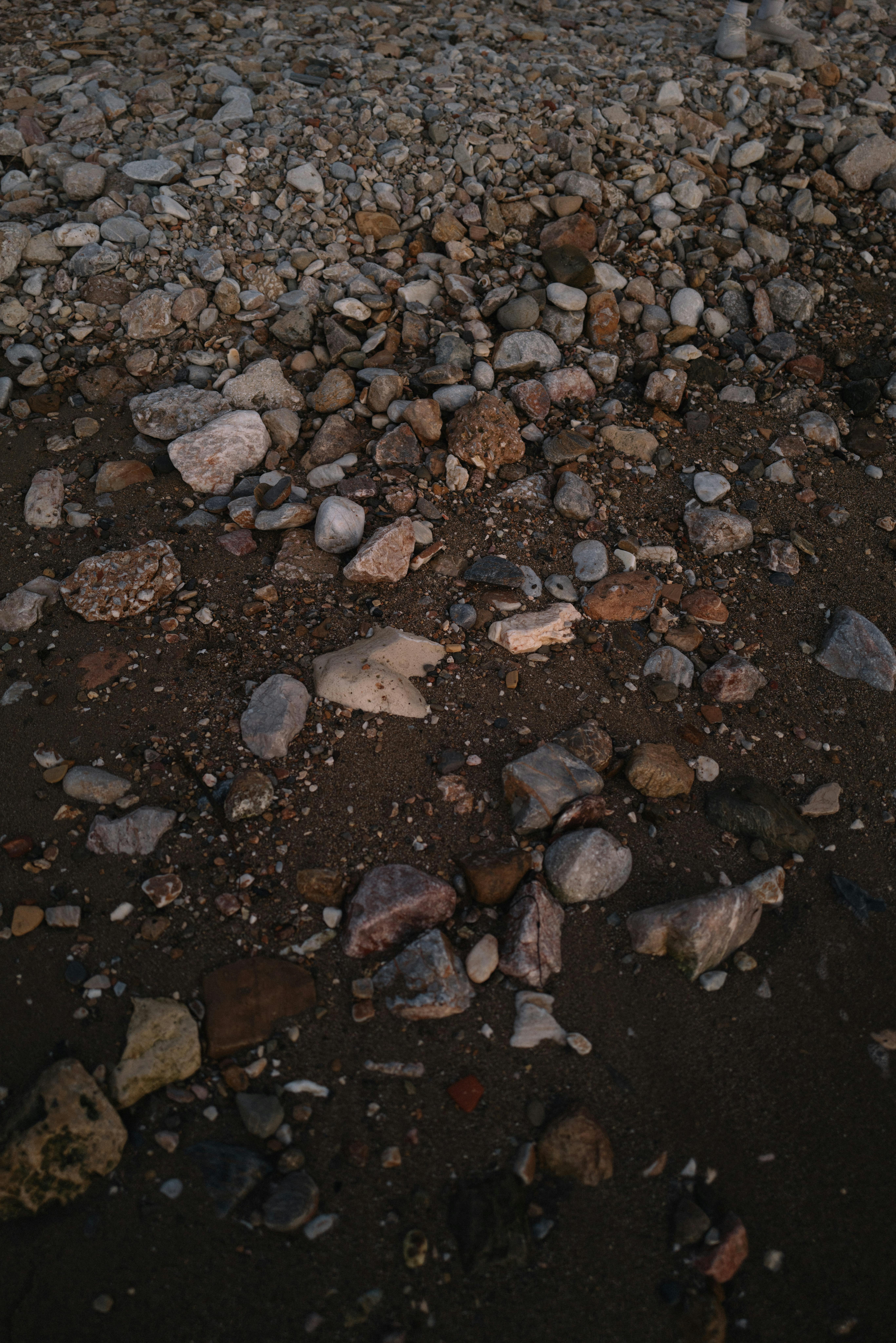 Rocks on the Ground · Free Stock Photo