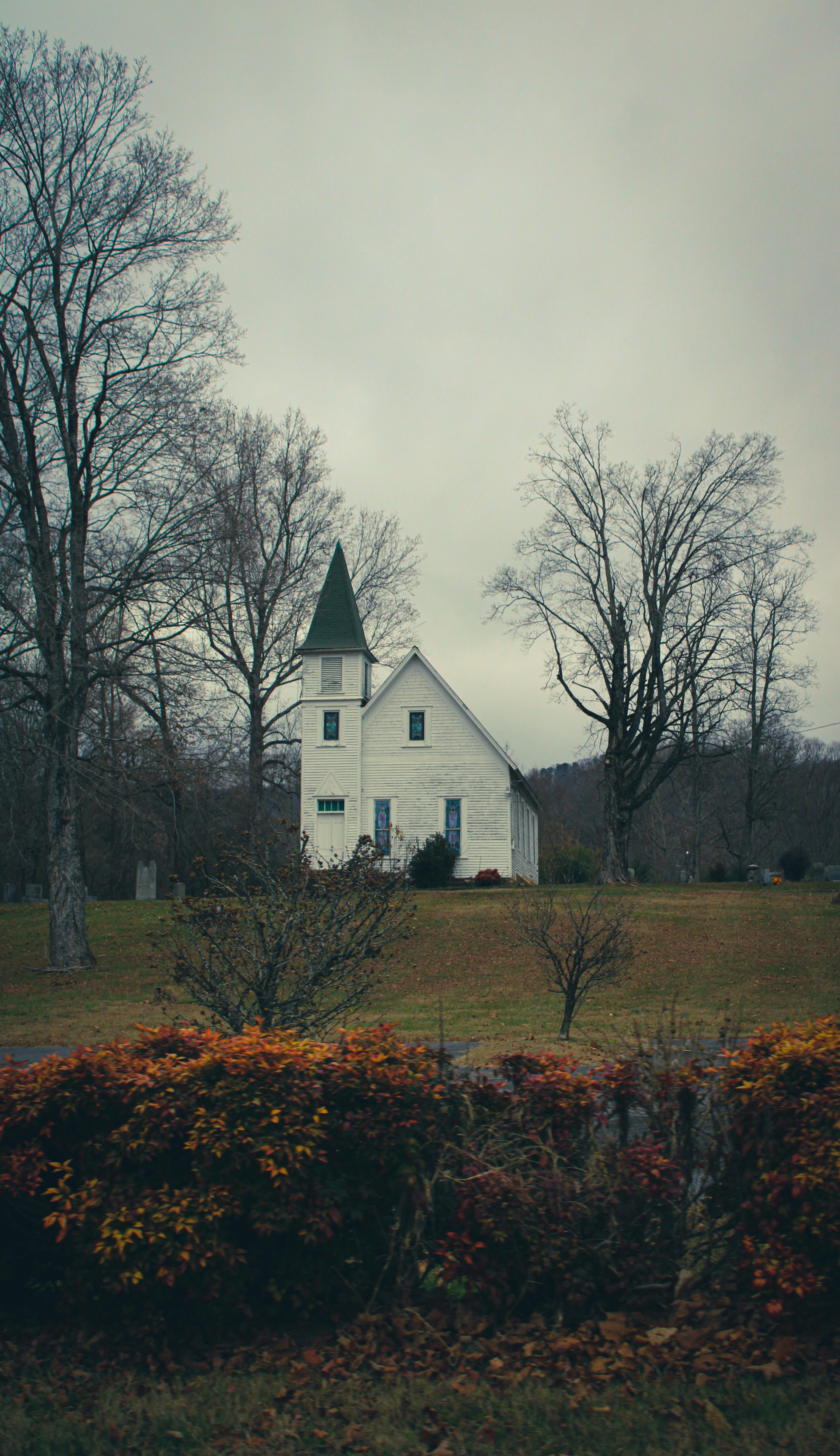 View of the Rutledge Presbyterian Church and Autumnal Meadow, Rutledge ...