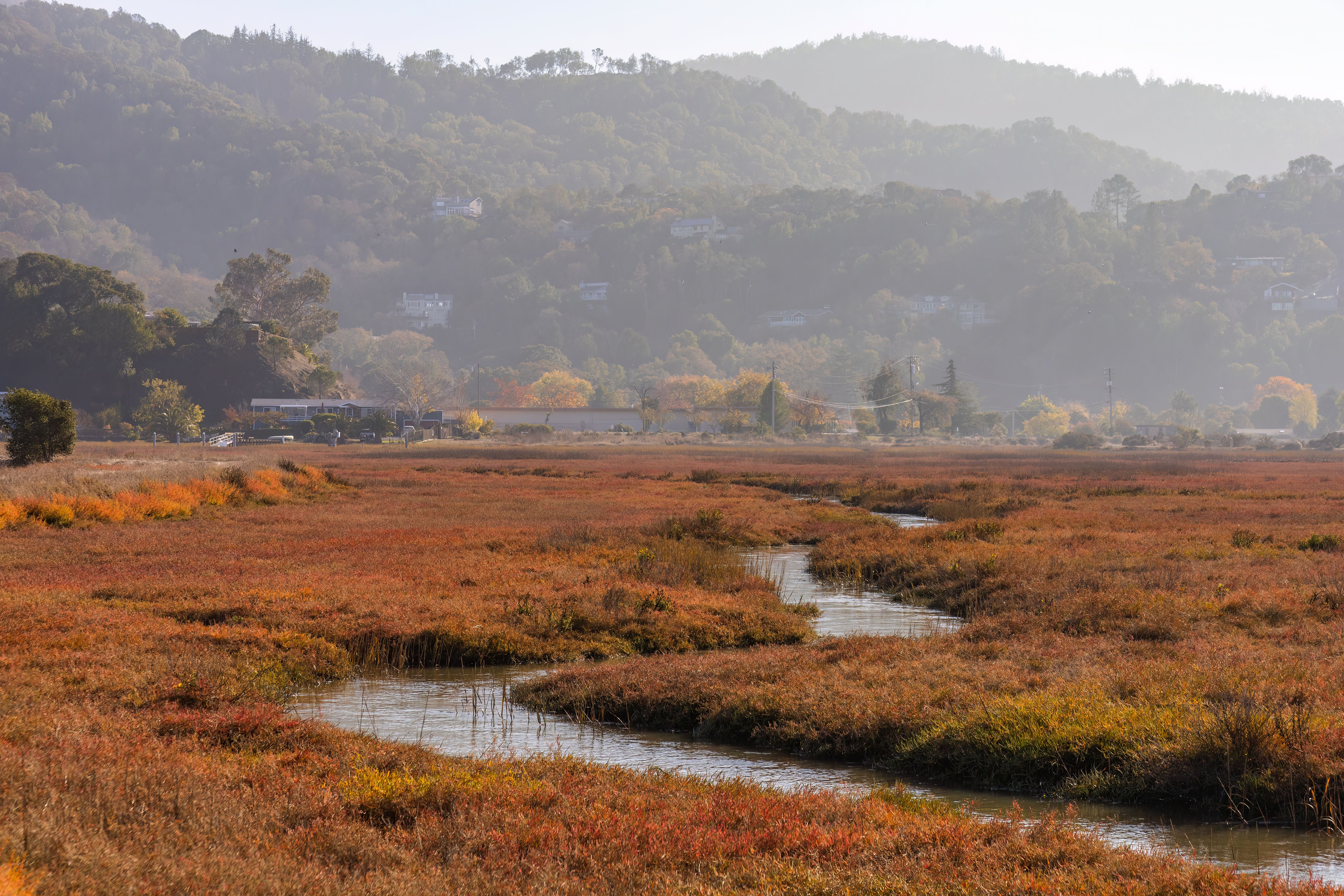 A Brook in the Grass Field · Free Stock Photo