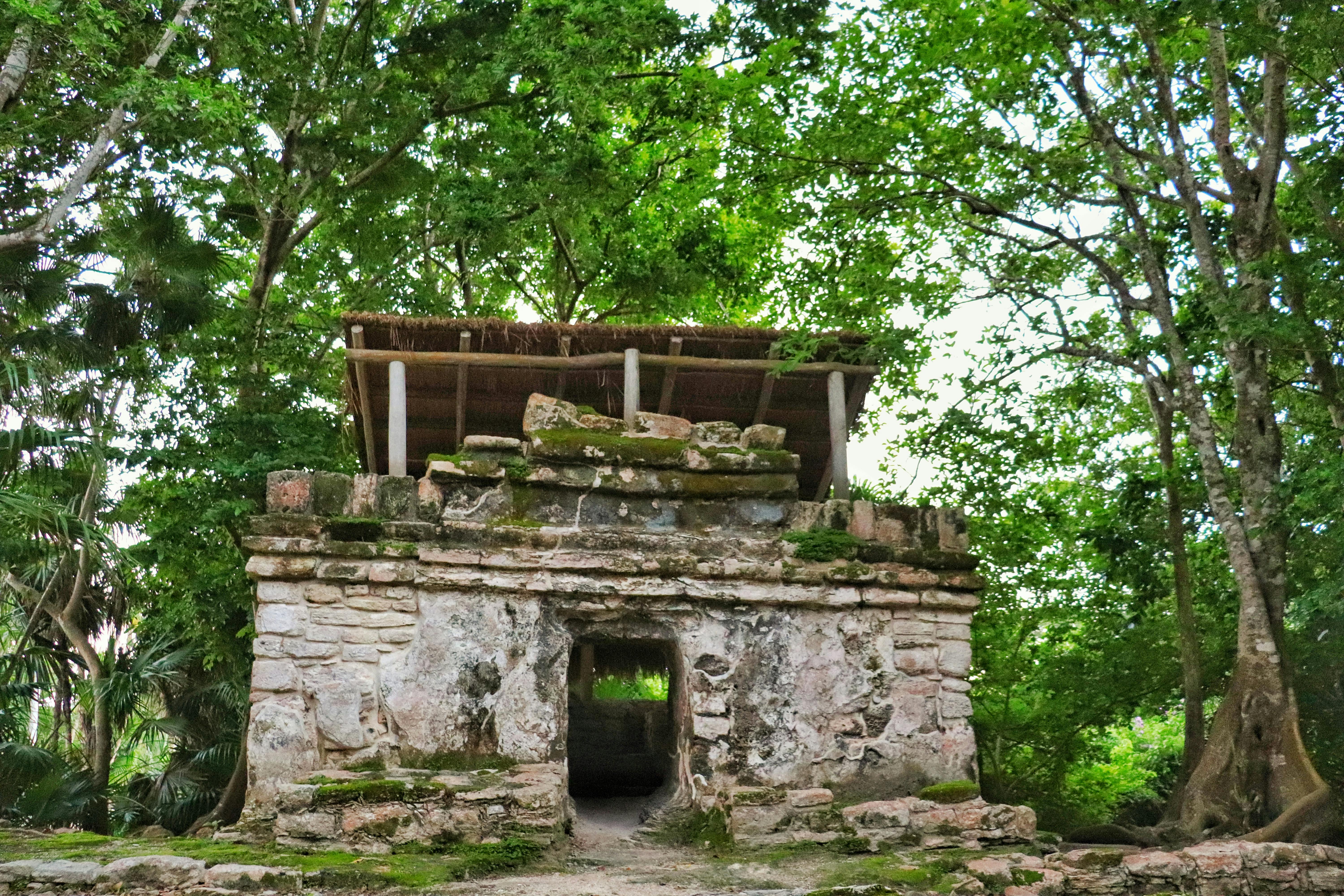 Decaying Stone Temple in Forest · Free Stock Photo