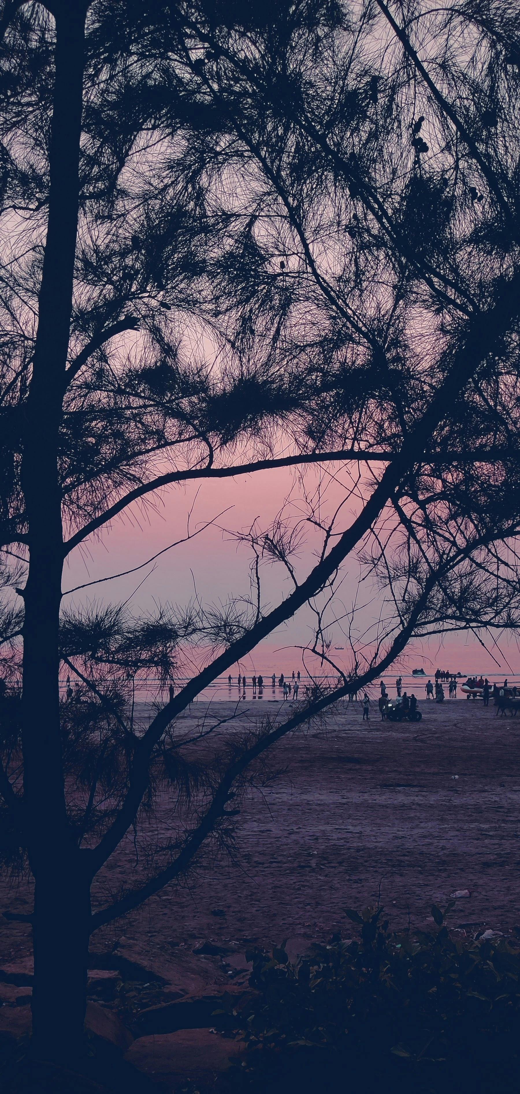 Shashi Singh - Photography