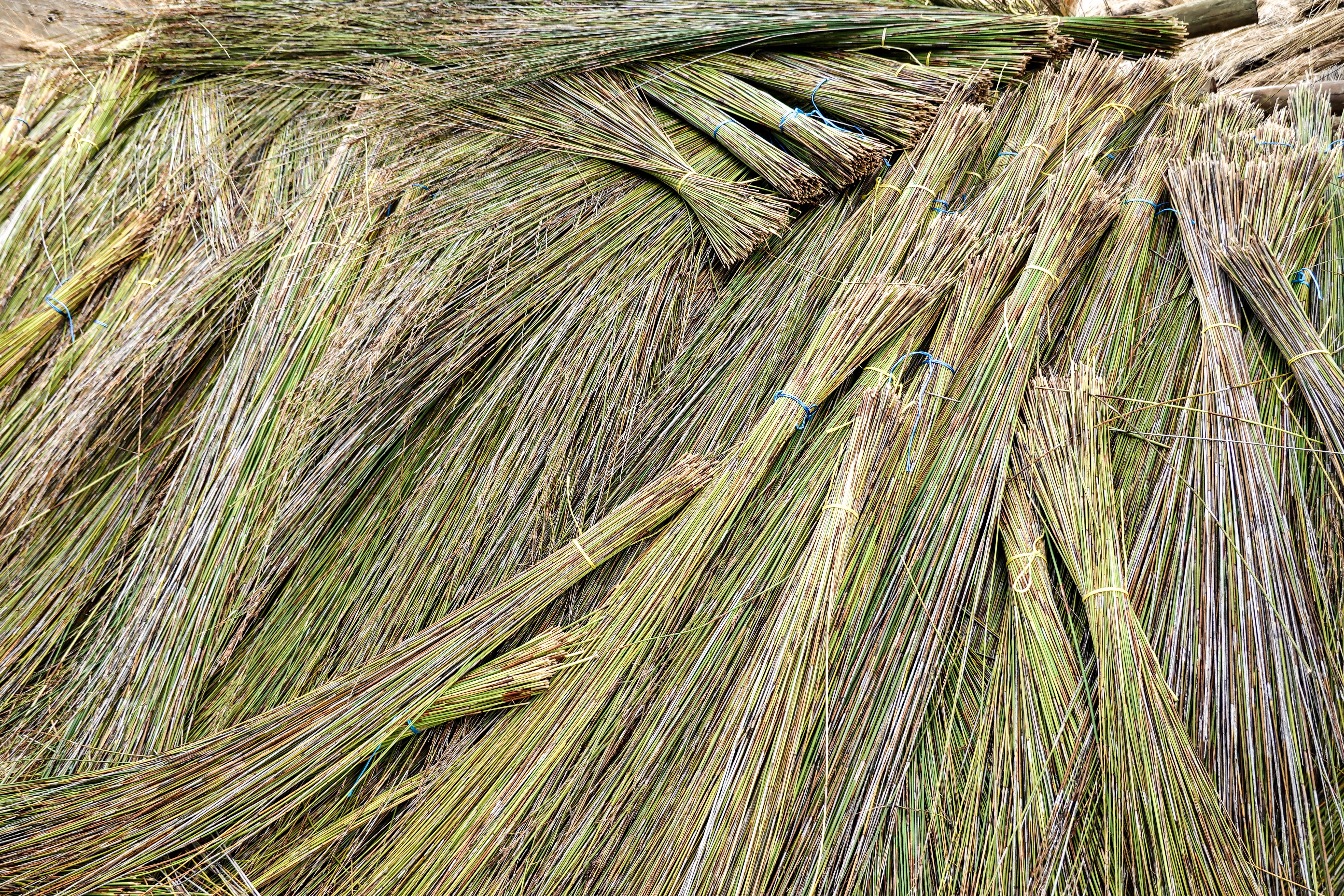 Straws Stack Together to Make a Broom · Free Stock Photo