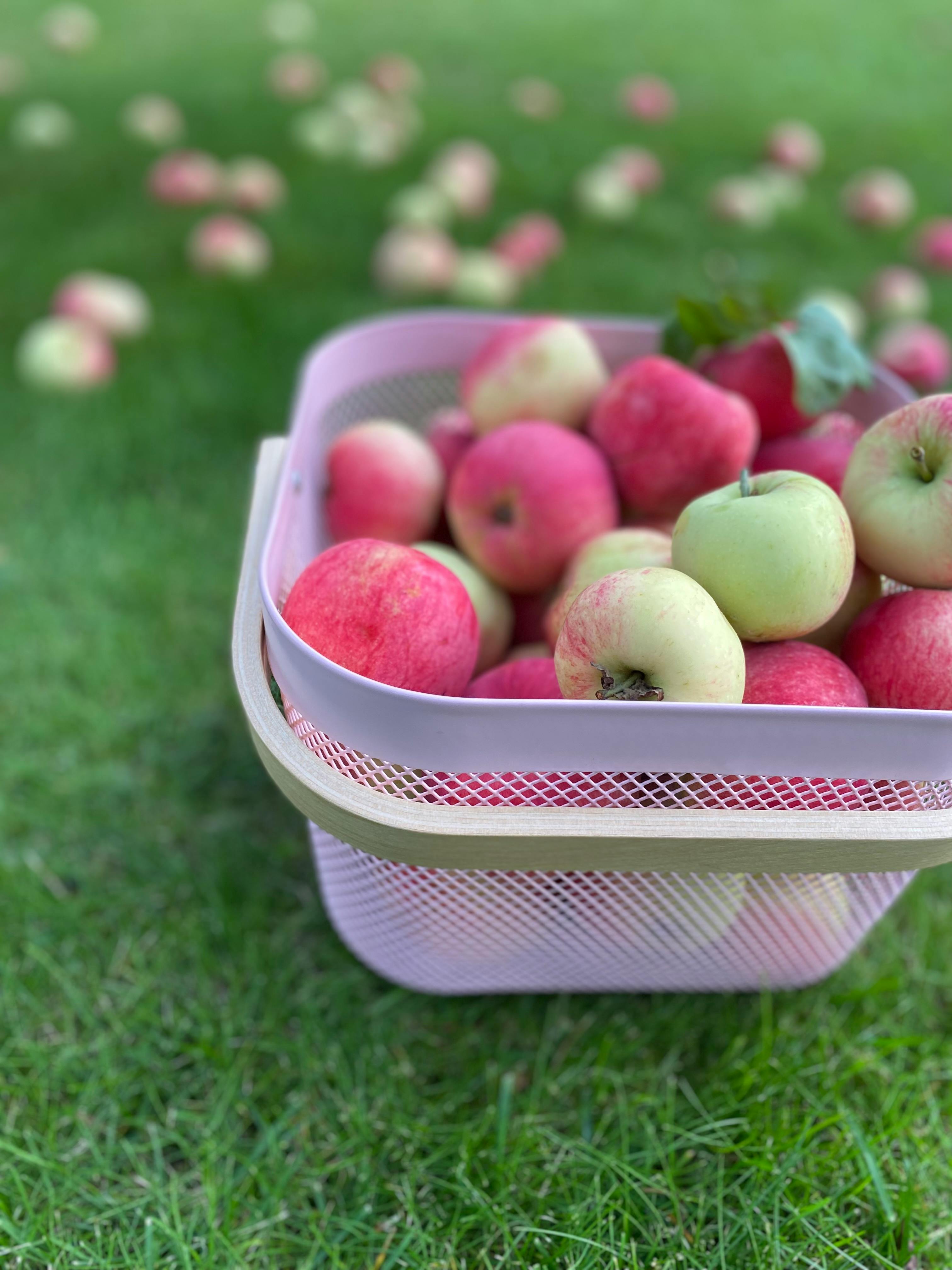 Aldijana Balic - Fotografía