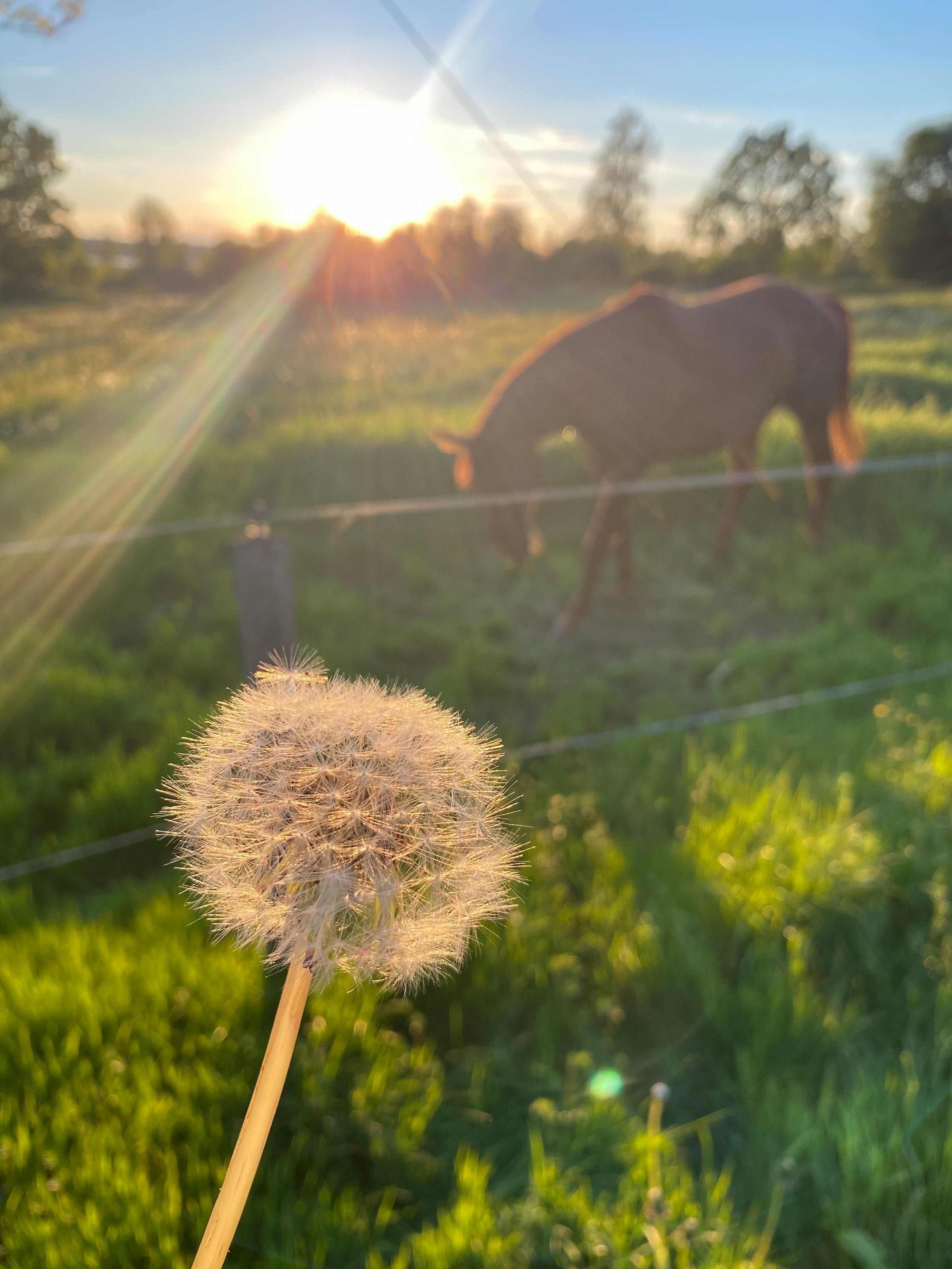 Aldijana Balic - Fotografía