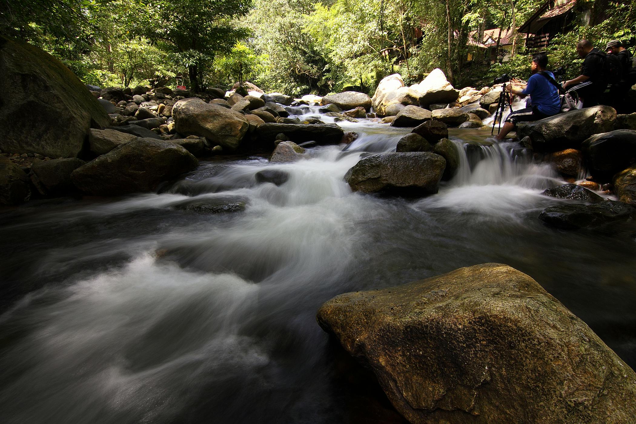 Rio Com Rochas Rodeadas Por árvores · Foto profissional gratuita