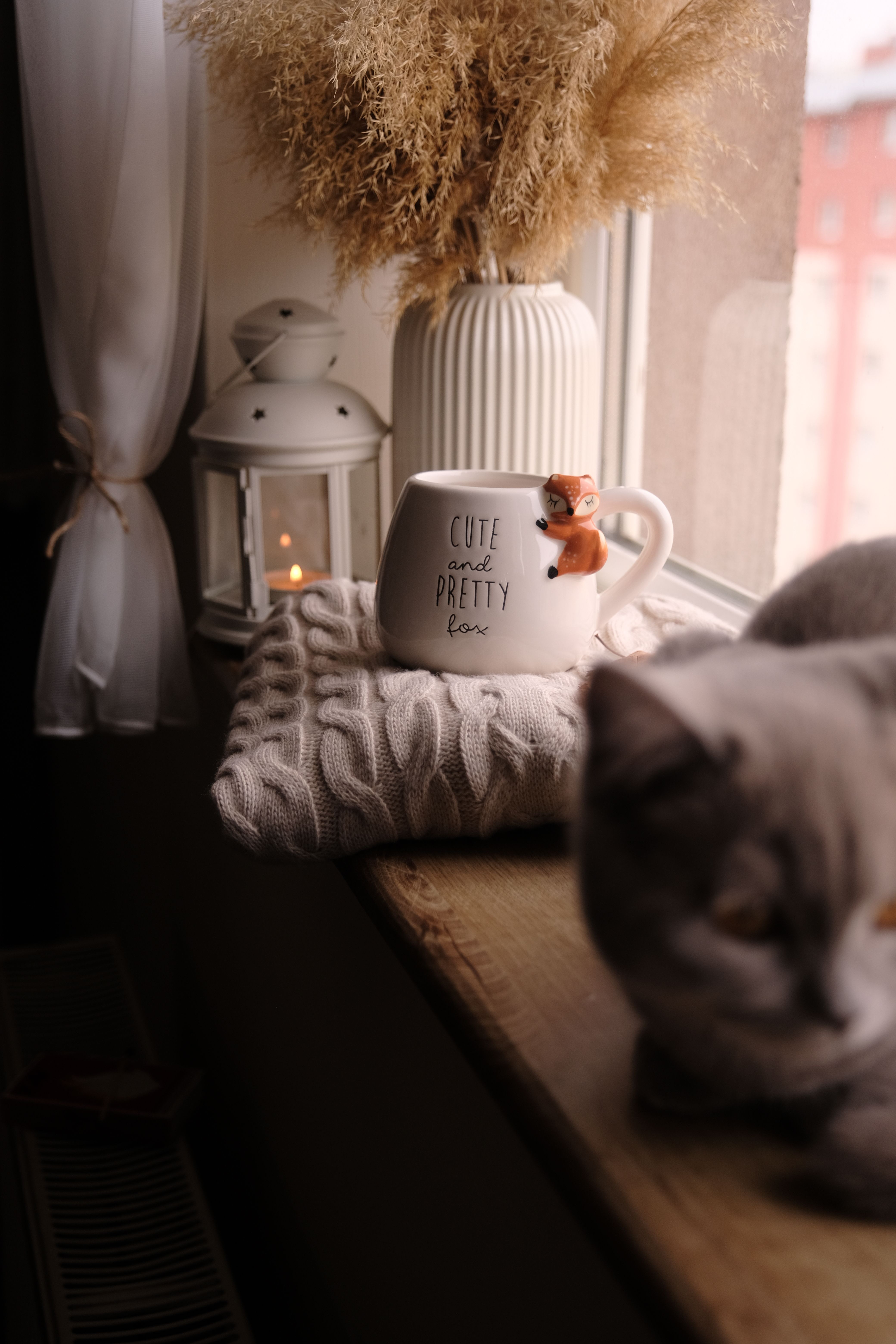 Cozy Day Photos, Download The BEST Free Cozy Day Stock Photos & HD Images