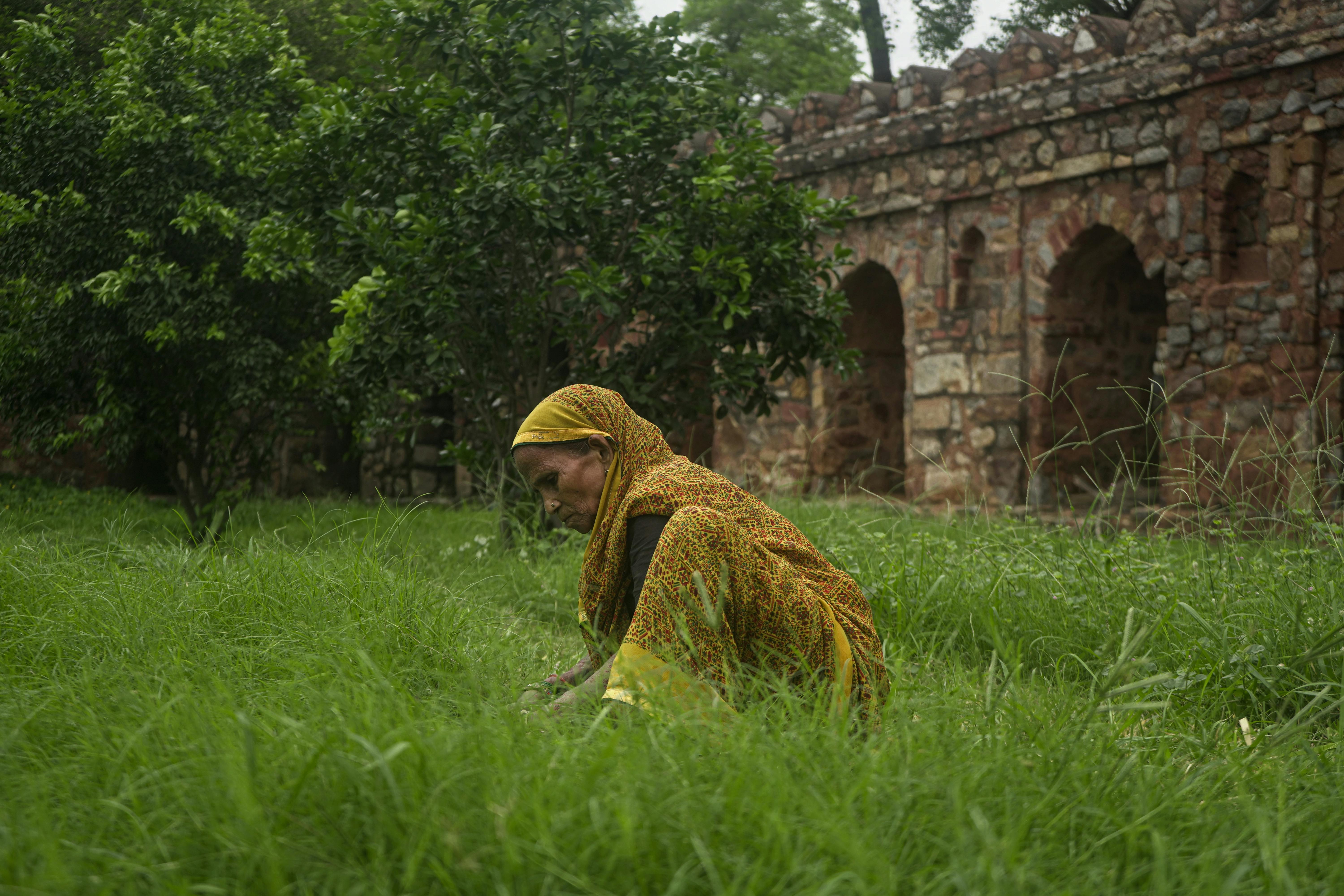 Rabbit Working Photos, Download The BEST Free Rabbit Working Stock ...