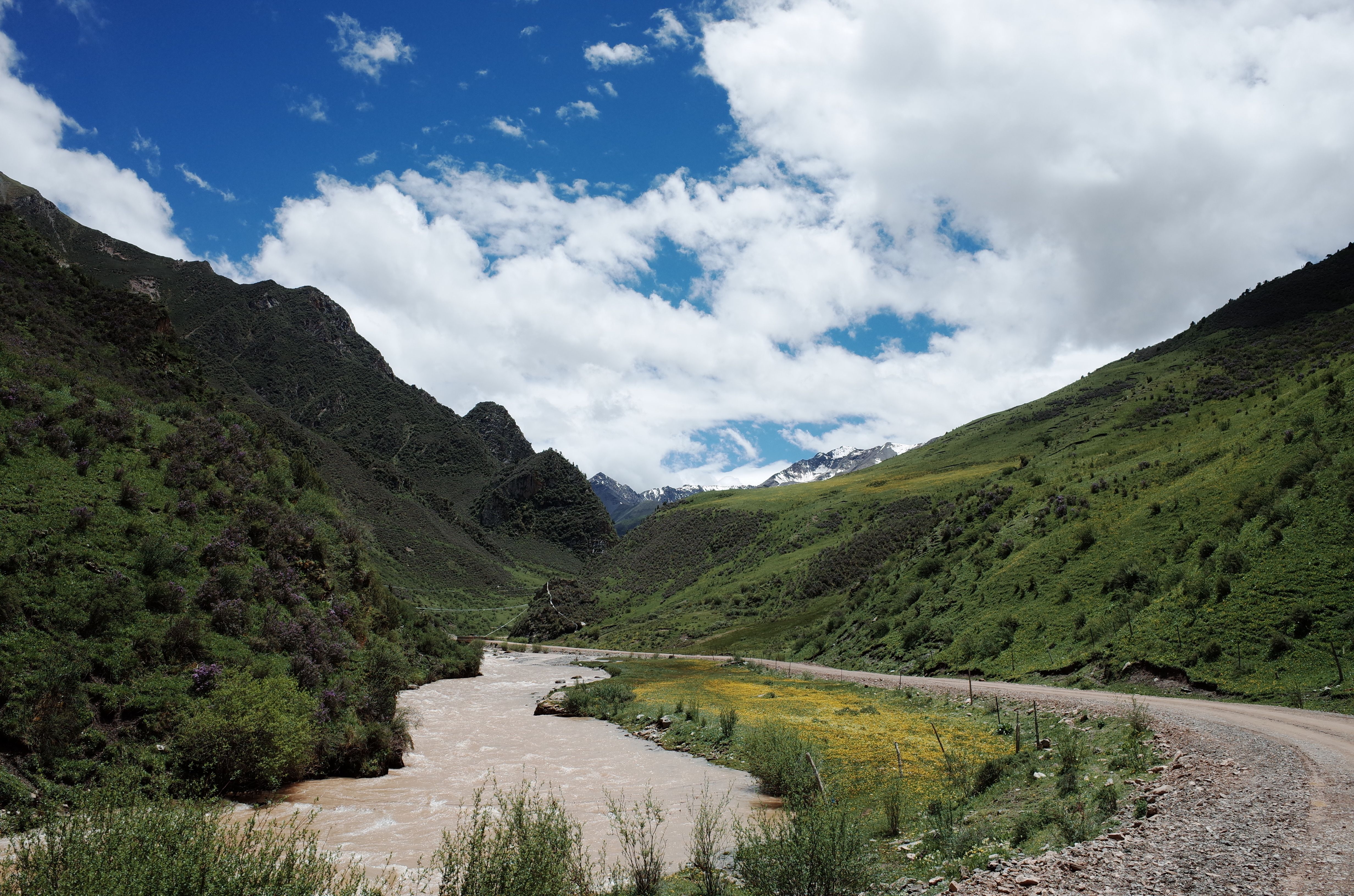 Path in a Mountain Valley · Free Stock Photo
