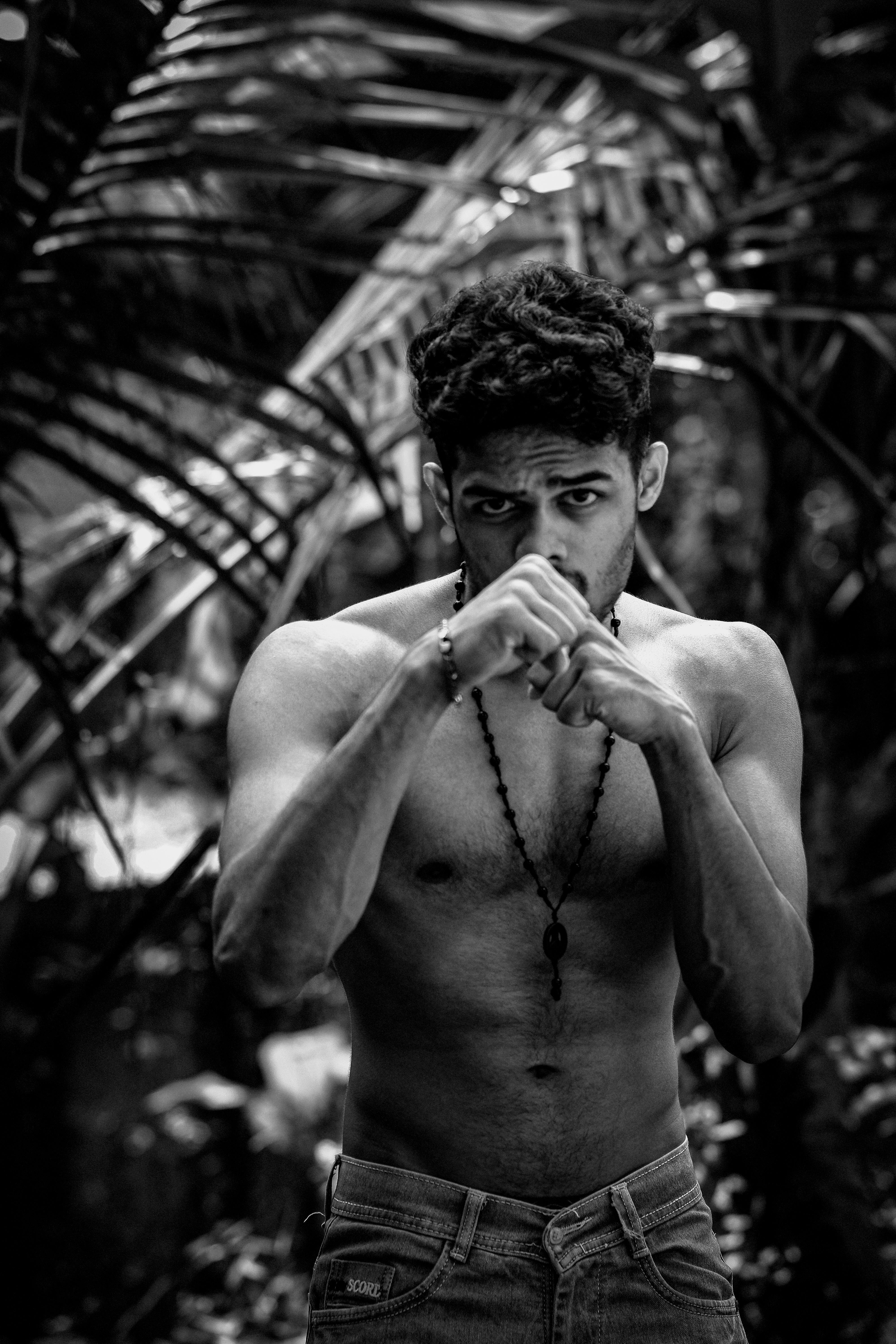 Man Posing in Brawl Position in Black and White · Free Stock Photo