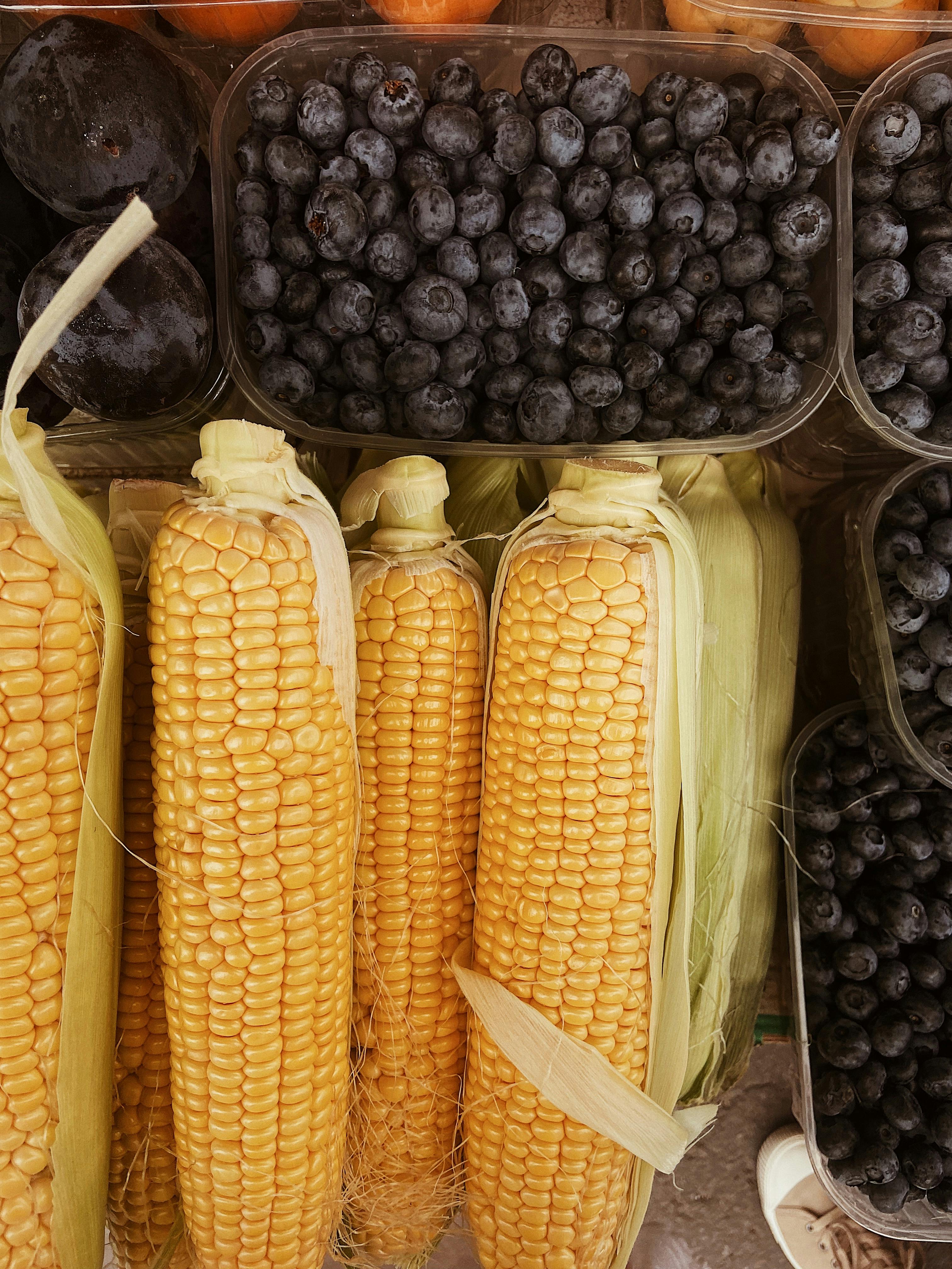 Photo of a Yellow Corns and Blueberries · Free Stock Photo