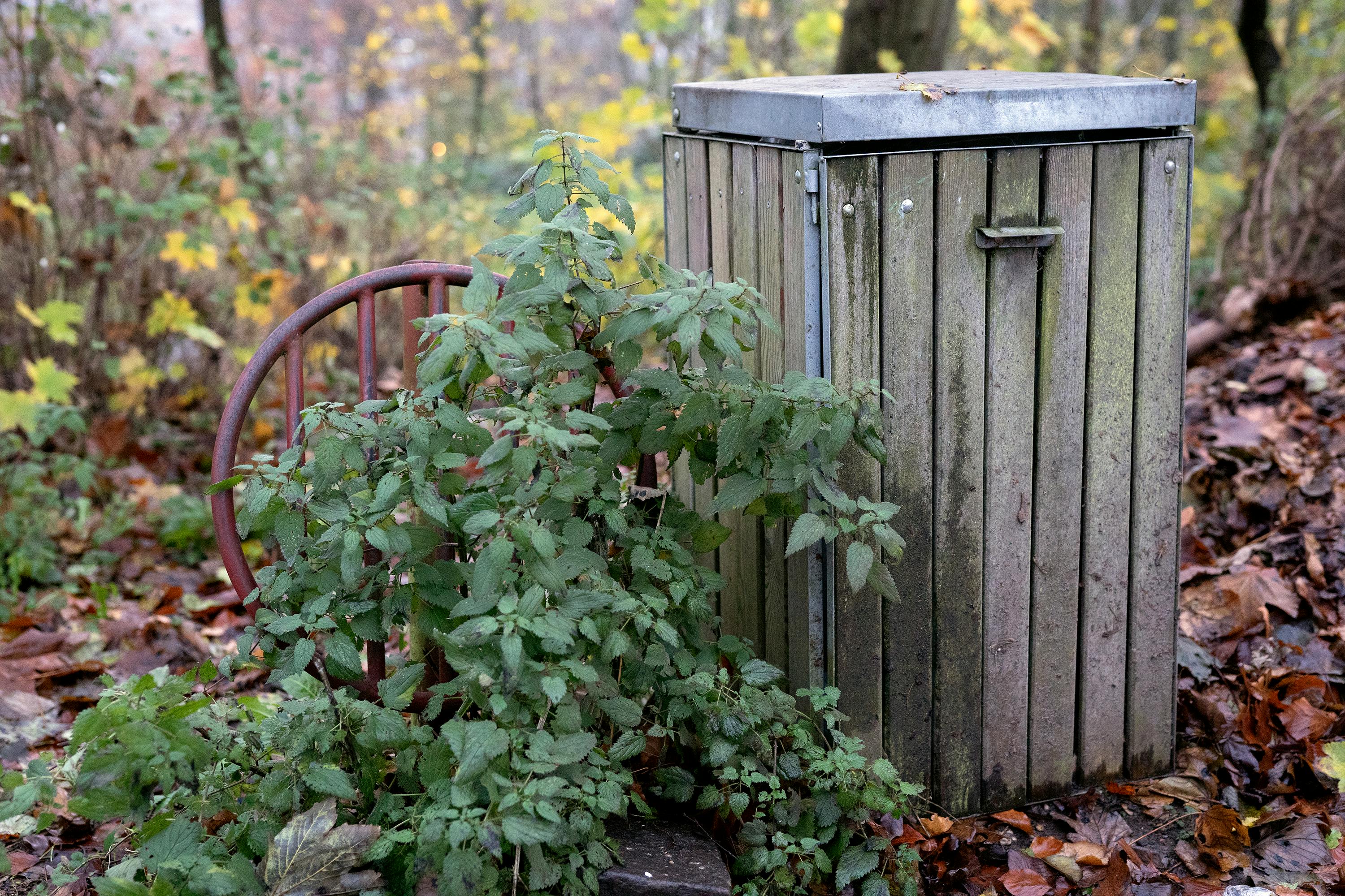 Martin Dalsgaard - Photography