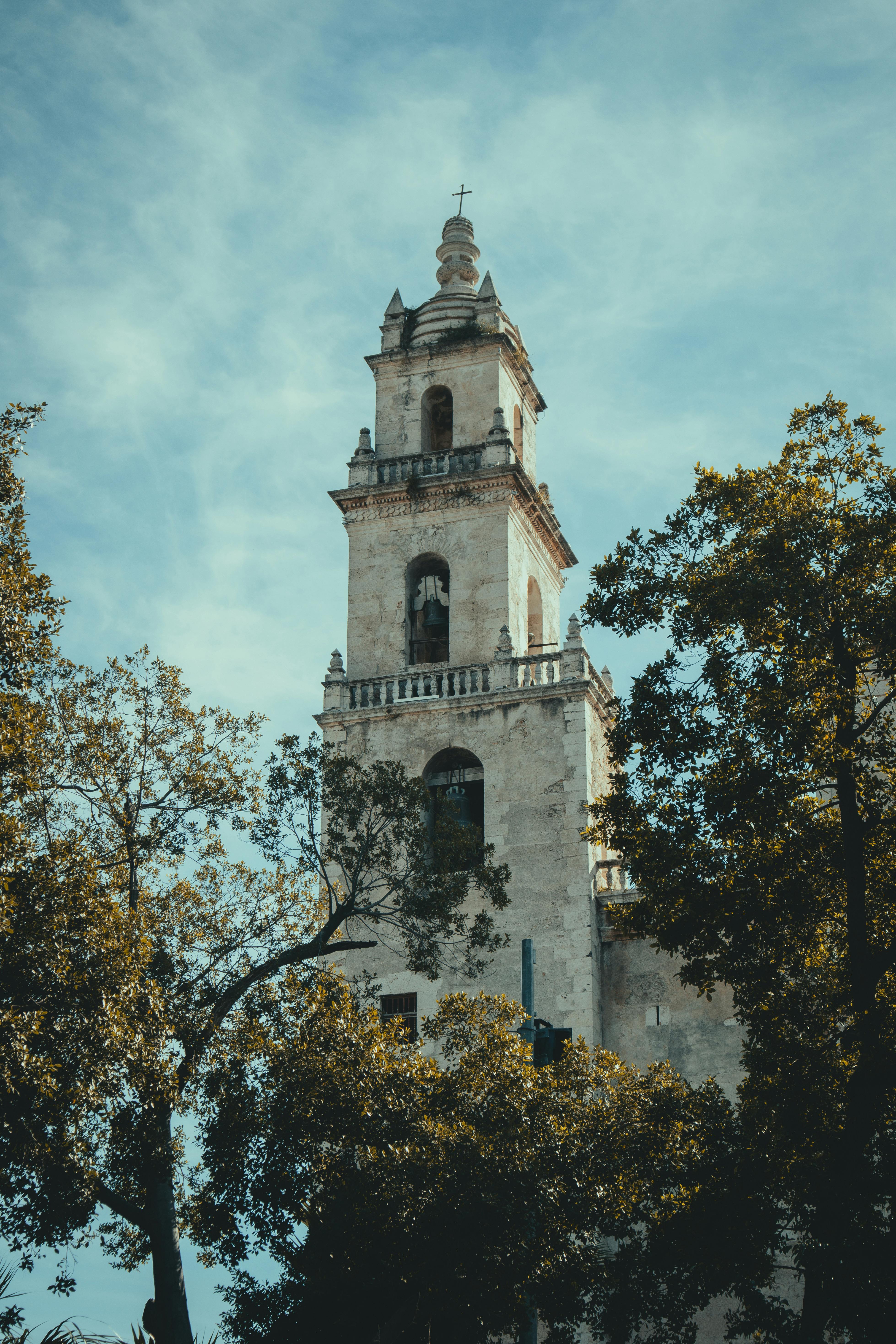 Church Tower behind Trees · Free Stock Photo
