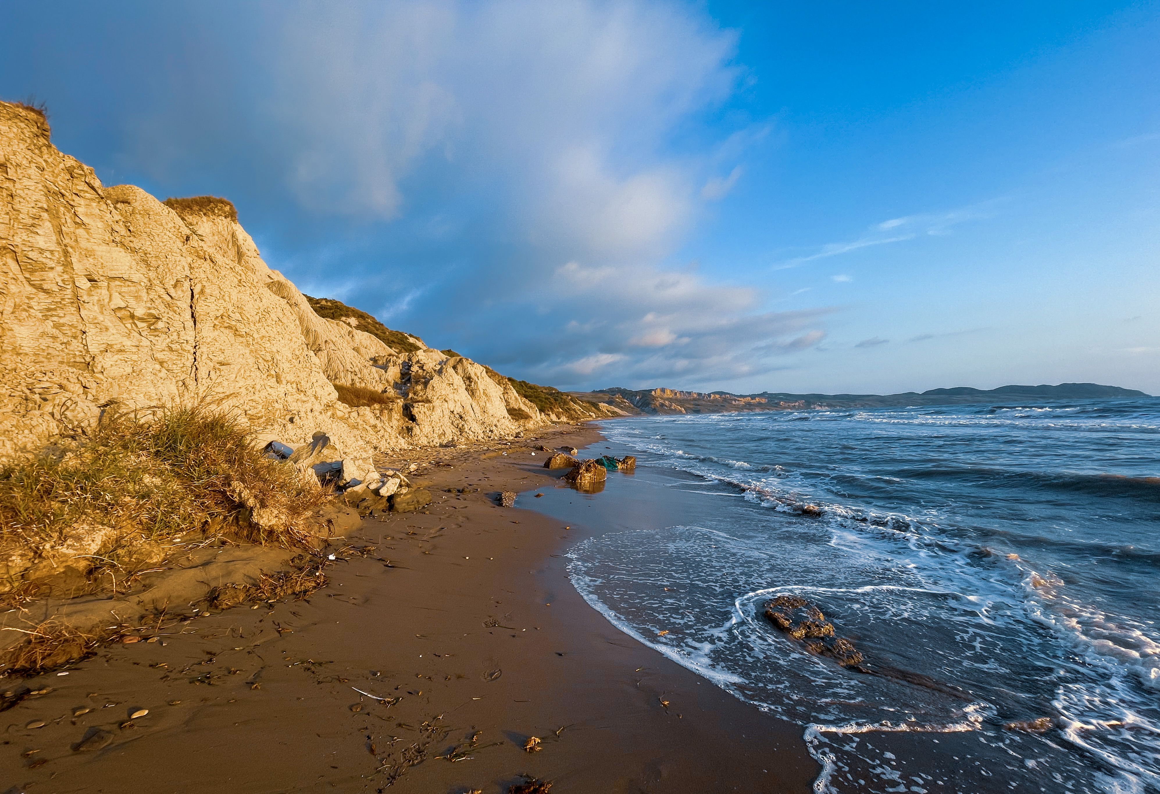Photograph of a Seashore · Free Stock Photo