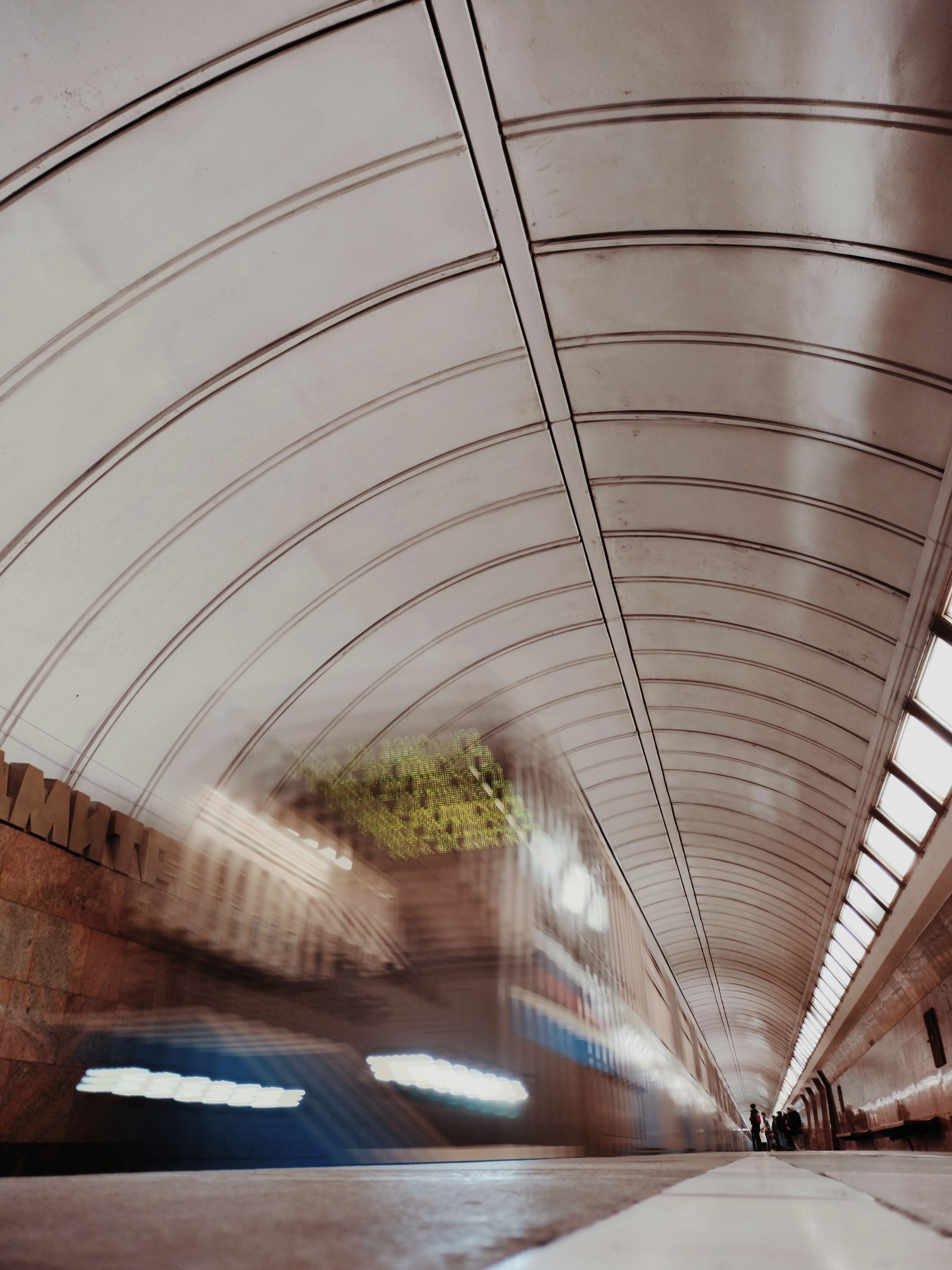 Bluring Photos, Download The BEST Free Bluring Stock Photos & HD Images