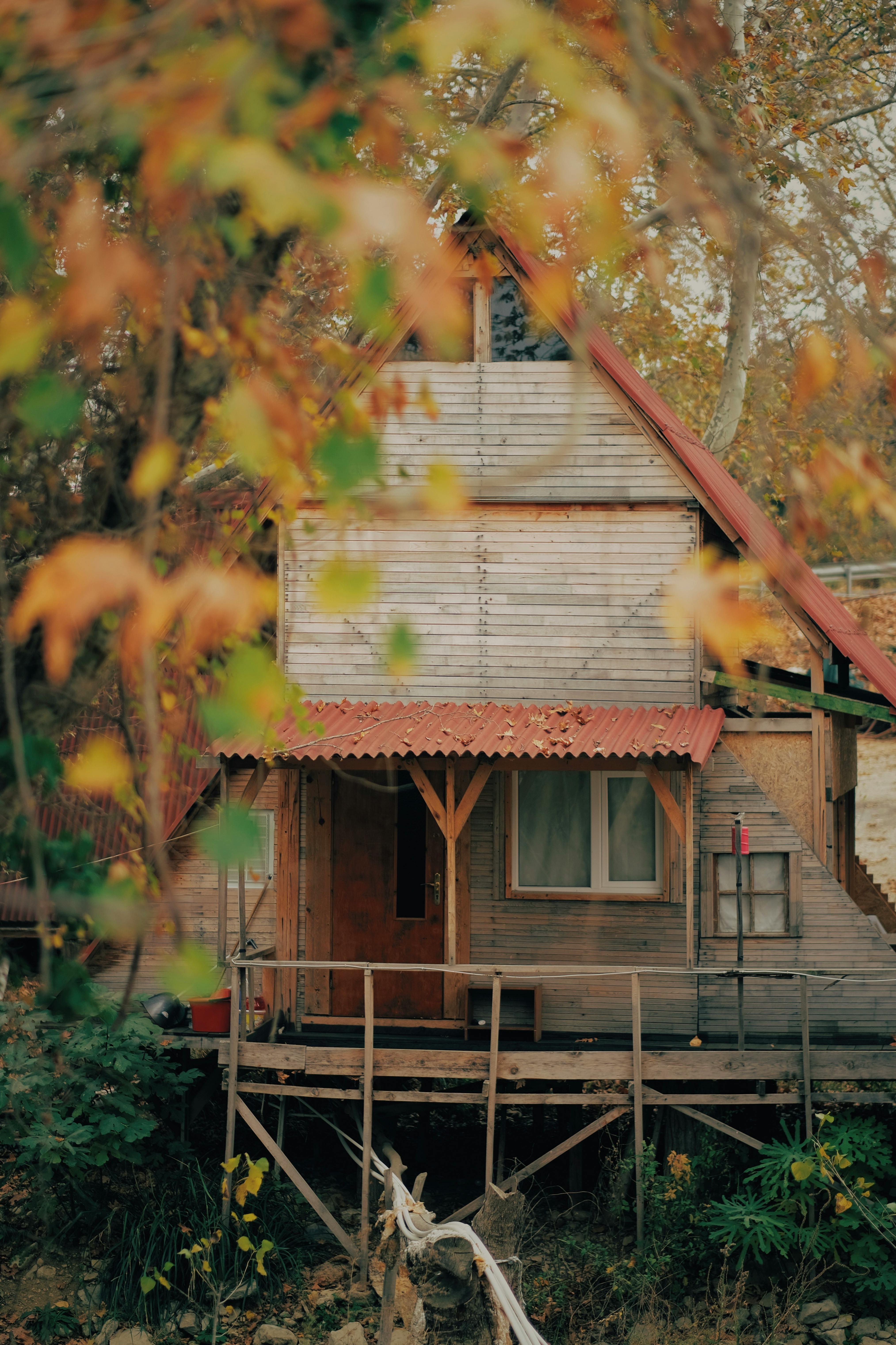 Wooden Barn Among Trees in Autumn · Free Stock Photo