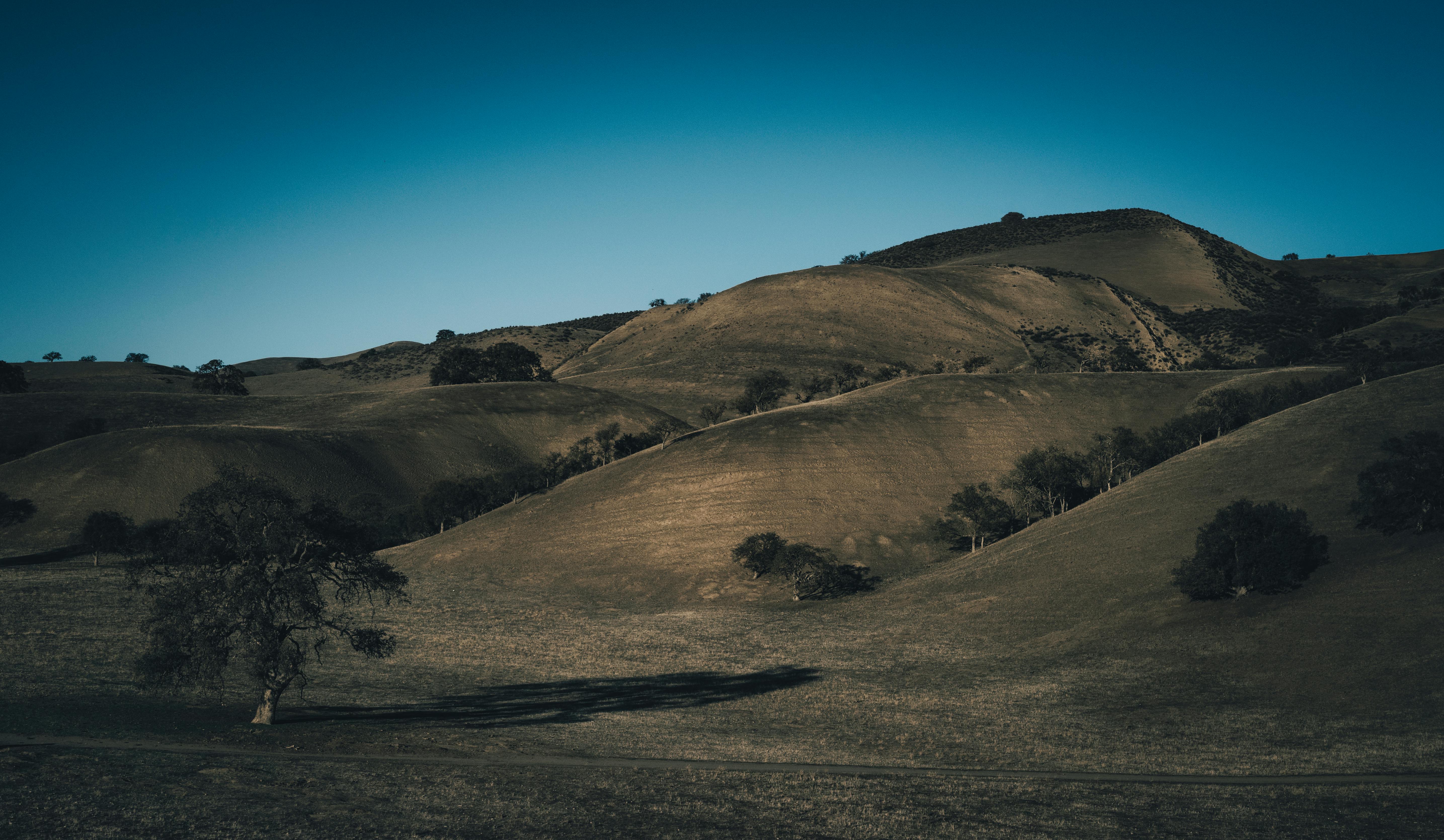 Landscape of Grass Hills · Free Stock Photo
