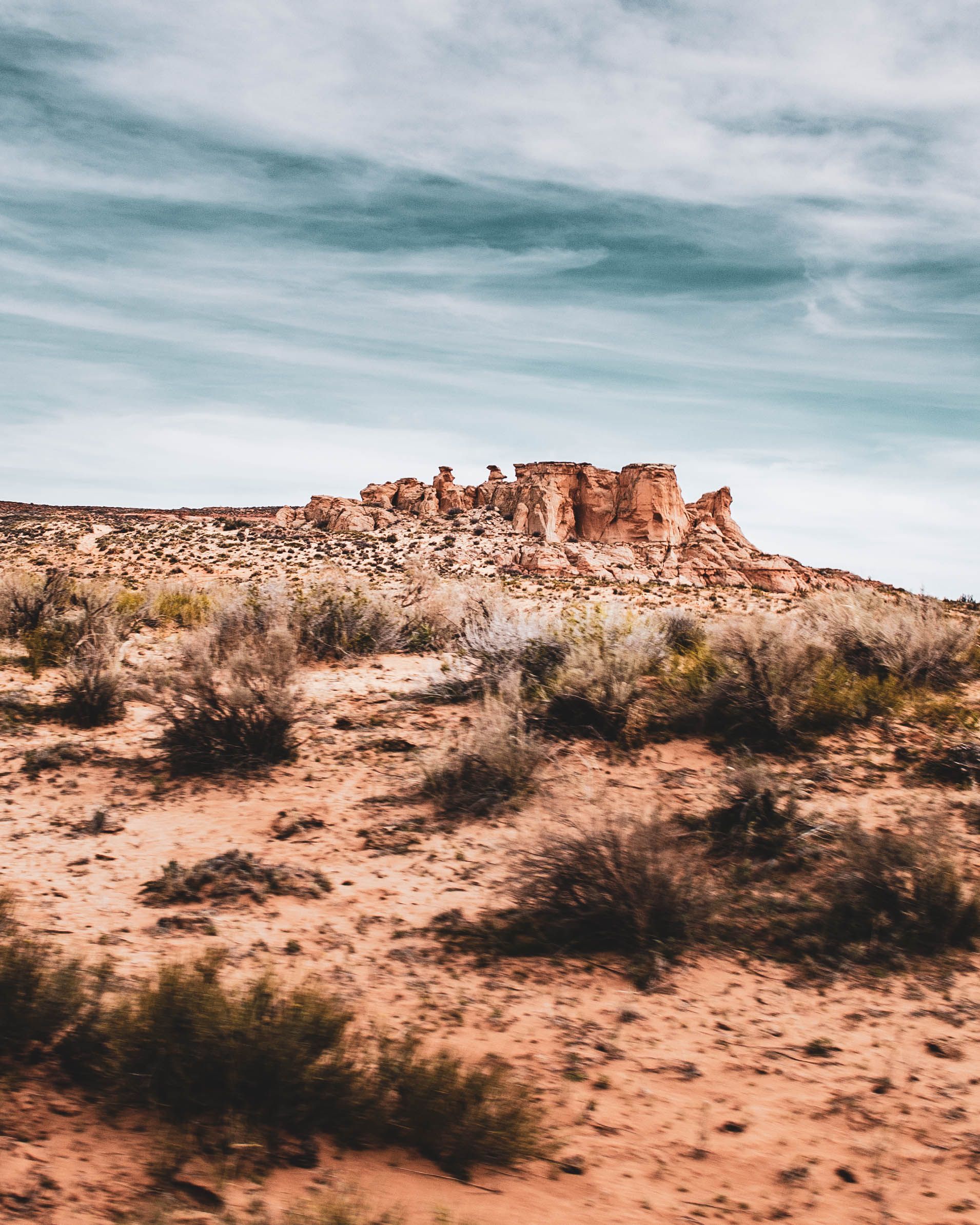 Dried Bushes on the Desert · Free Stock Photo