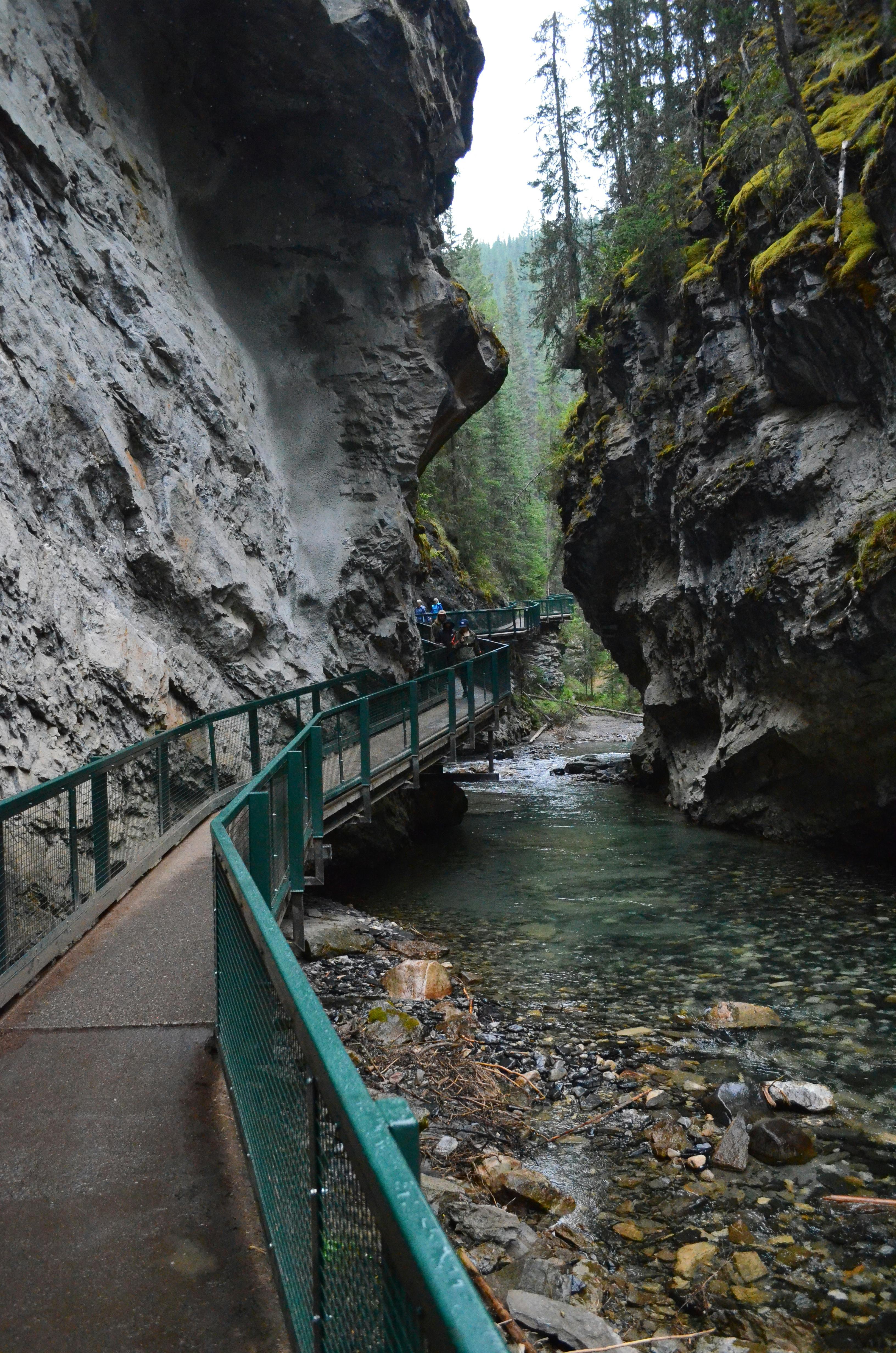 Group of People on Hanging Bridge · Free Stock Photo
