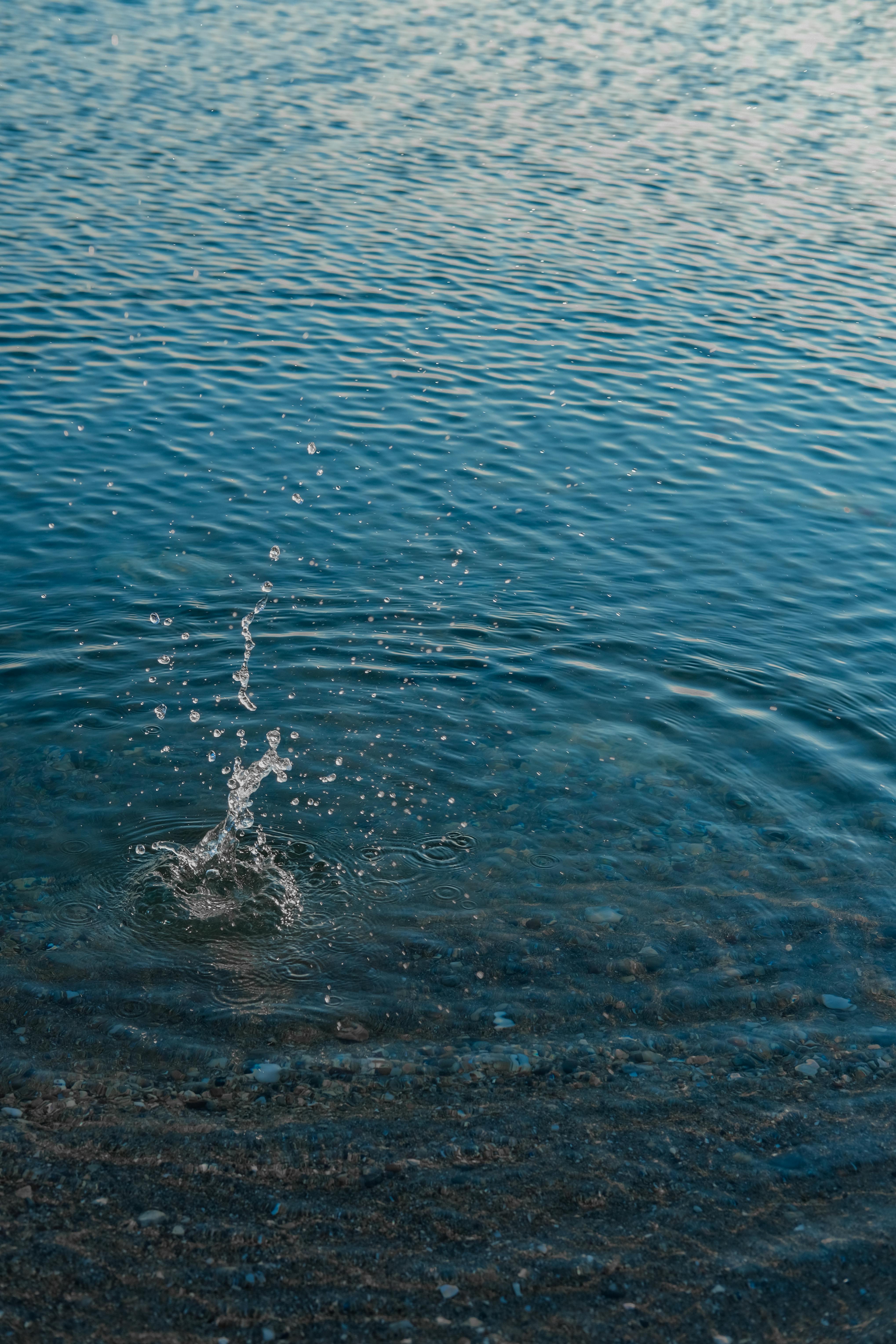 Ripples on the Water in the River · Free Stock Photo
