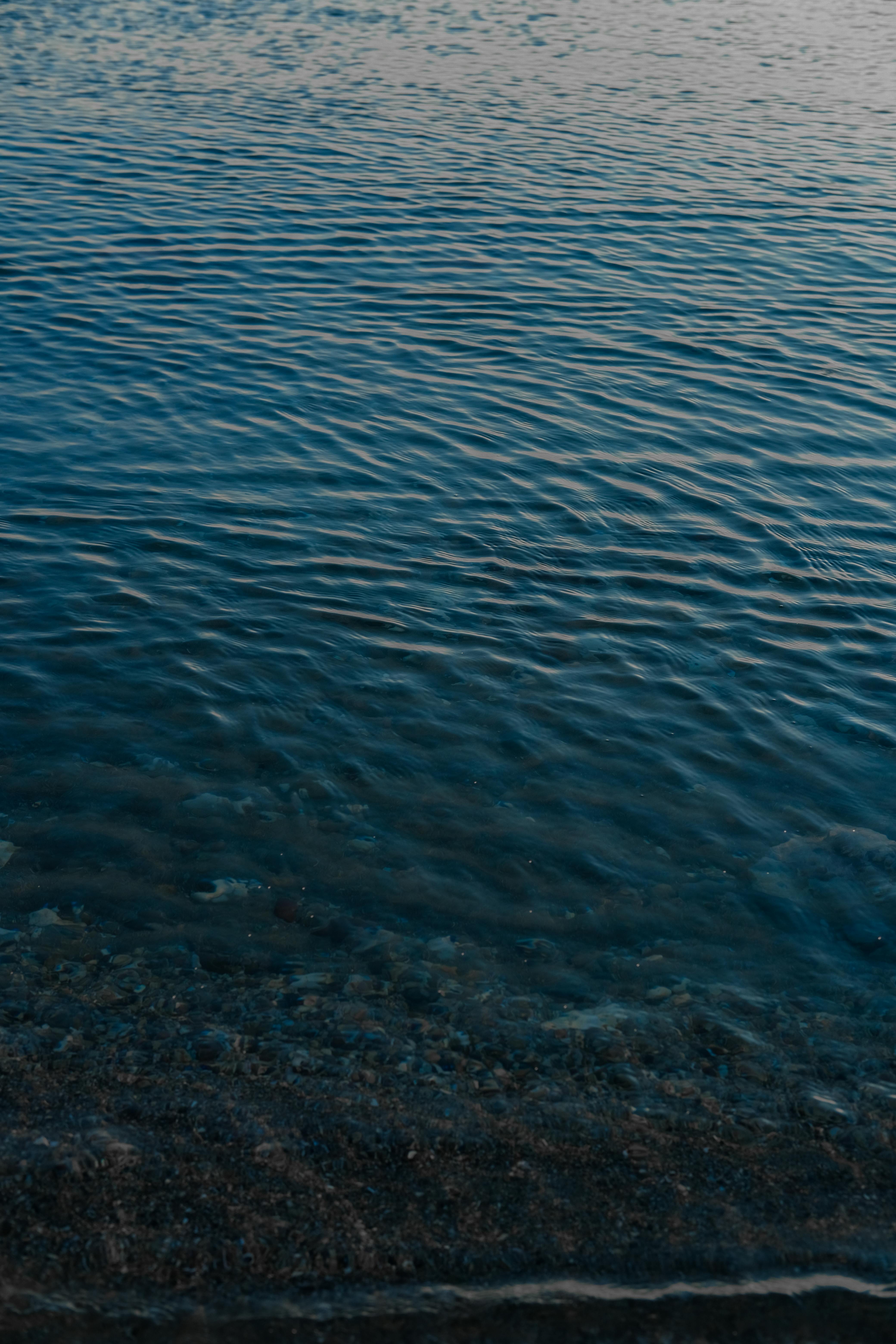 Close up of Water on Shore · Free Stock Photo