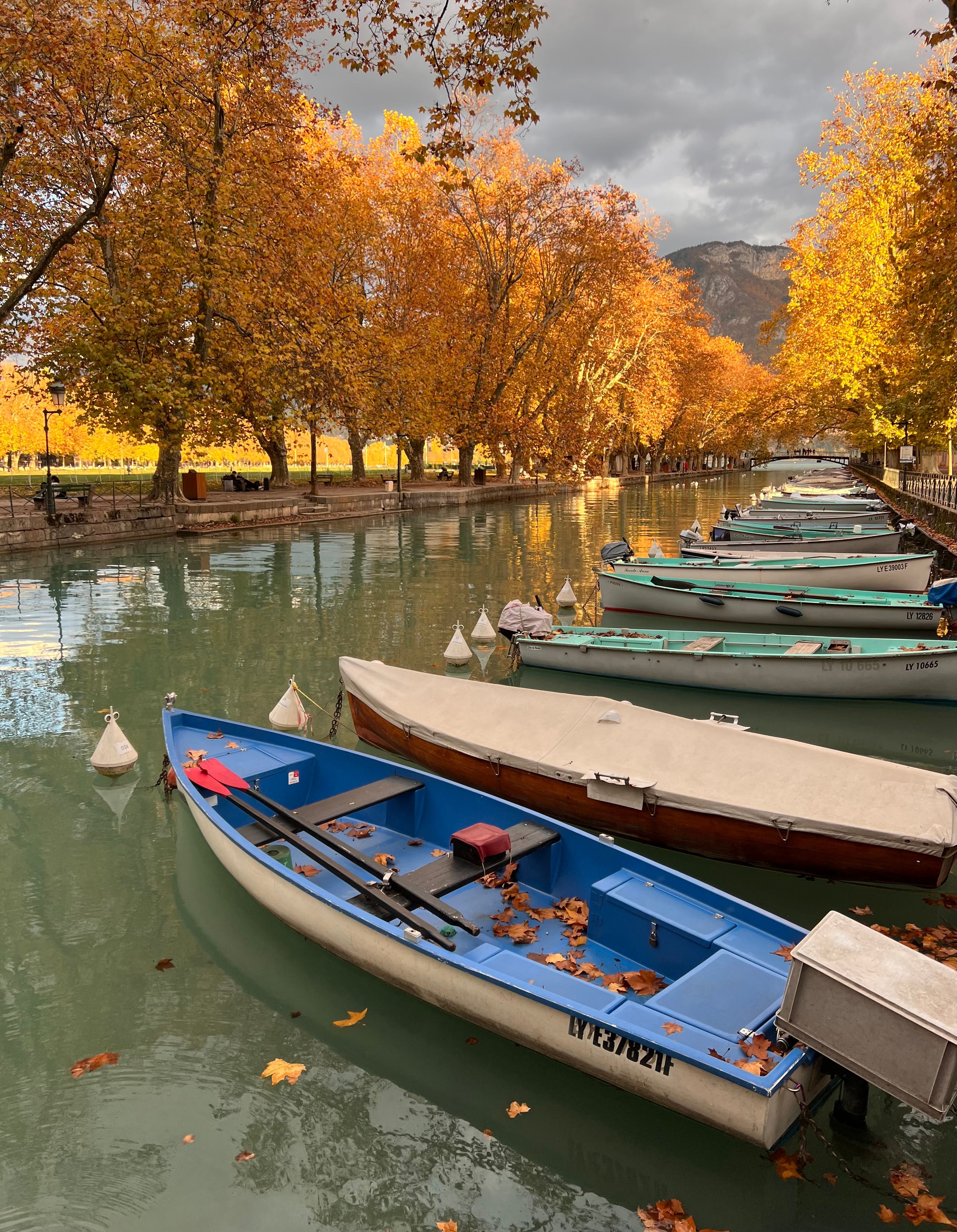 Brown Canoe on Water · Free Stock Photo