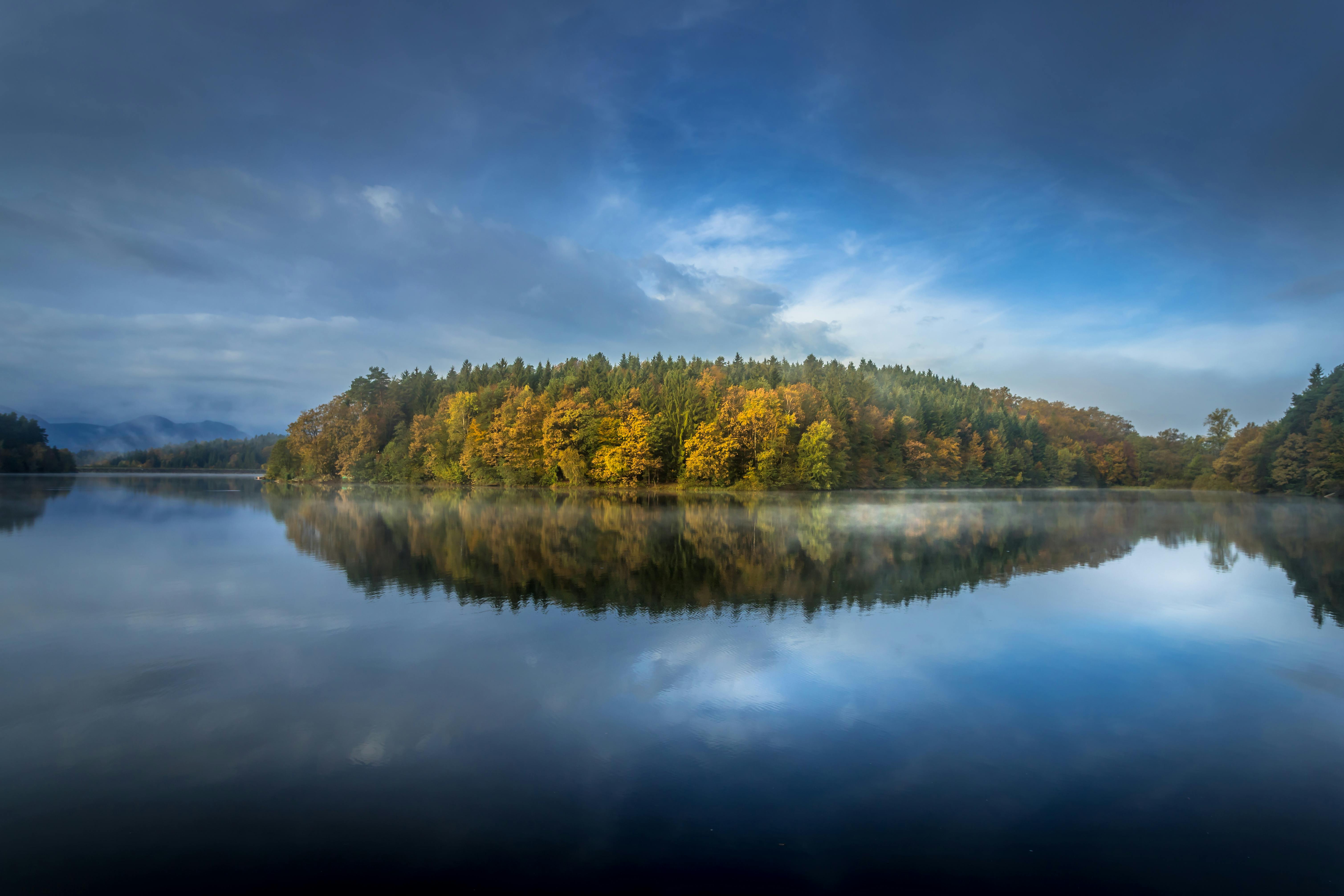 Forest and Lake · Free Stock Photo