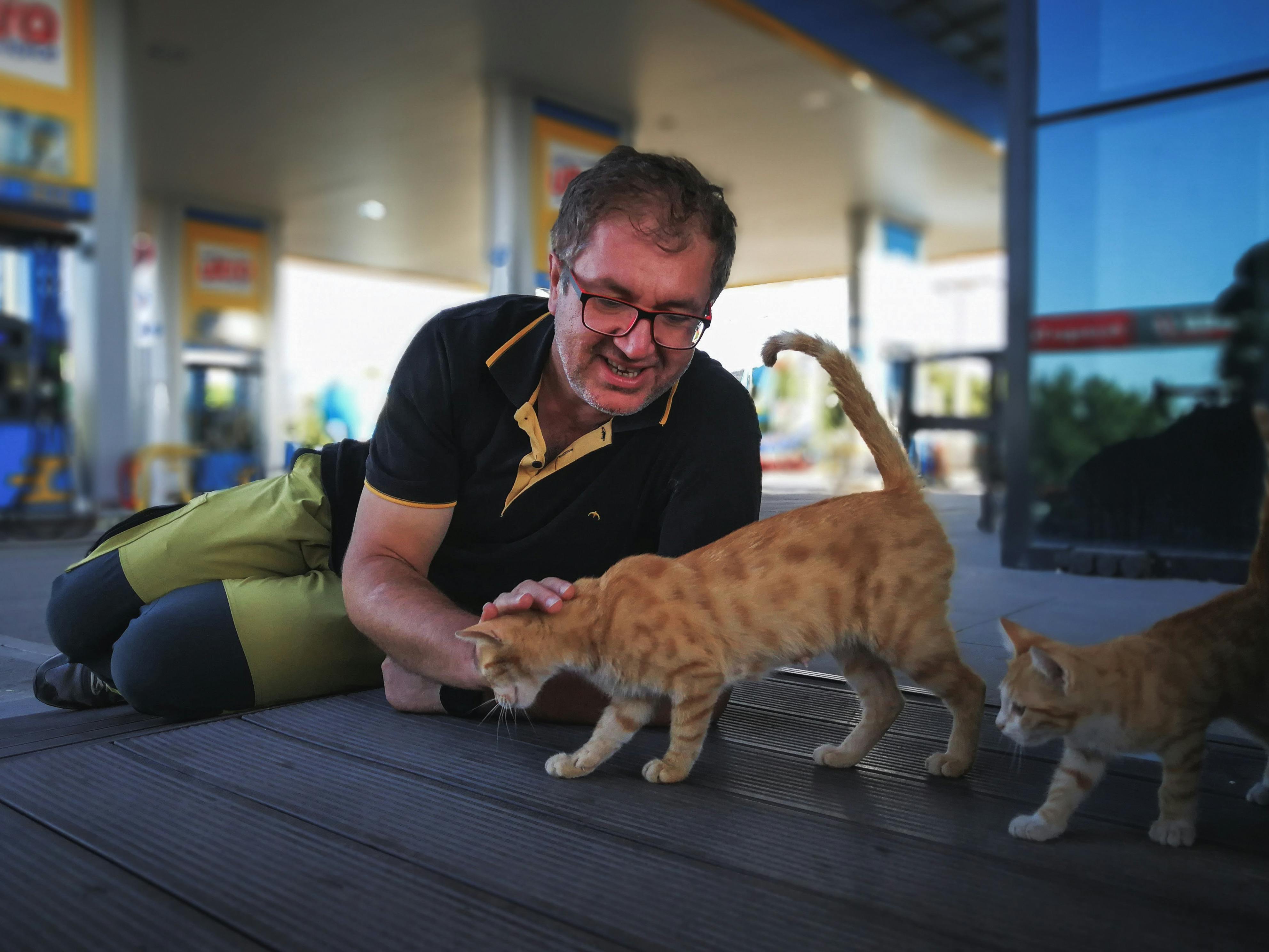 Man Petting Orange Kittens · Free Stock Photo