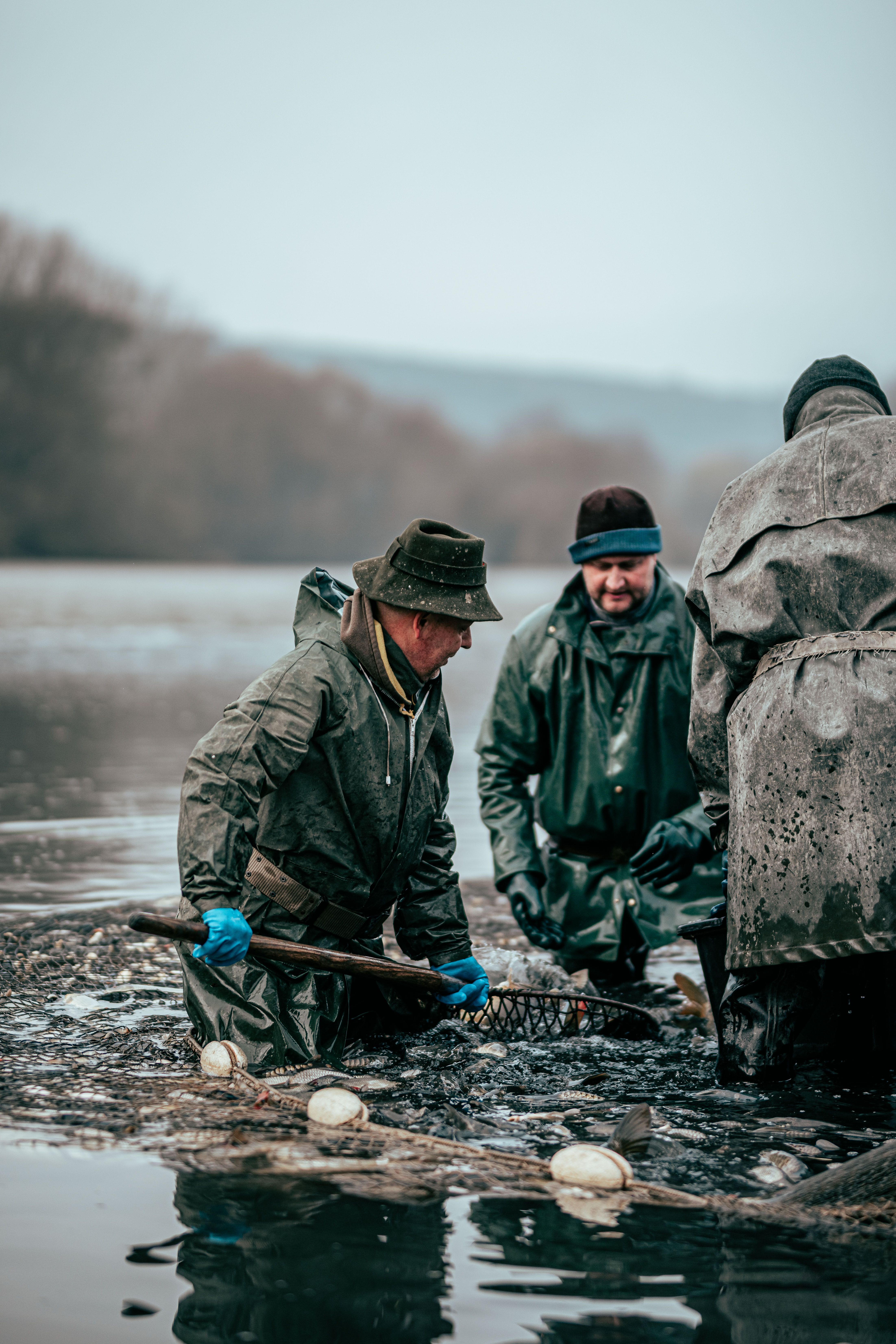 Fisherman Casting Net Photos, Download Free Fisherman Casting Net Stock ...