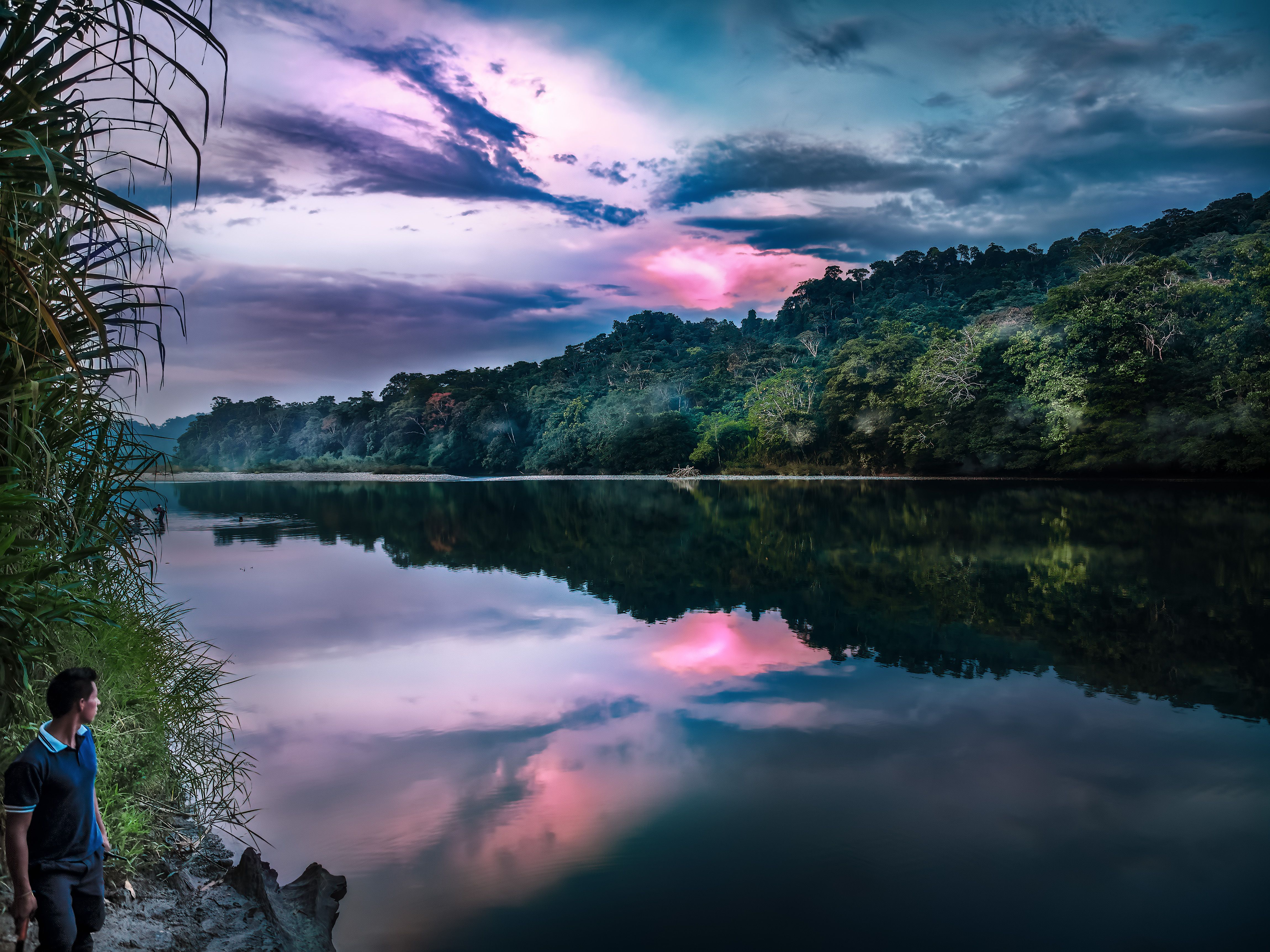 Amazon River Photos, Download The BEST Free Amazon River Stock Photos ...