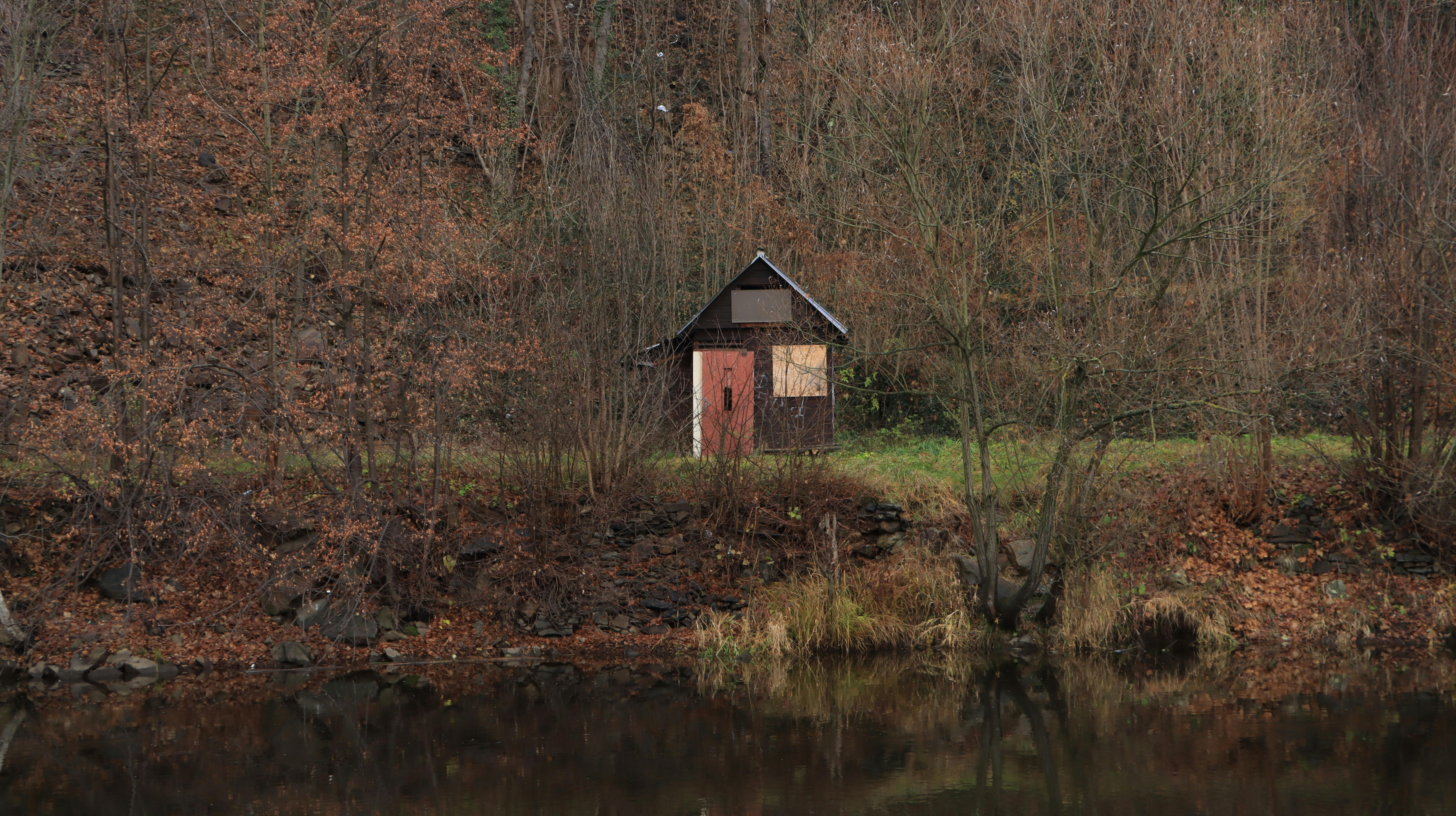 View of a Wooden Hut in a Forest in Autumn by a Body of Water · Free ...