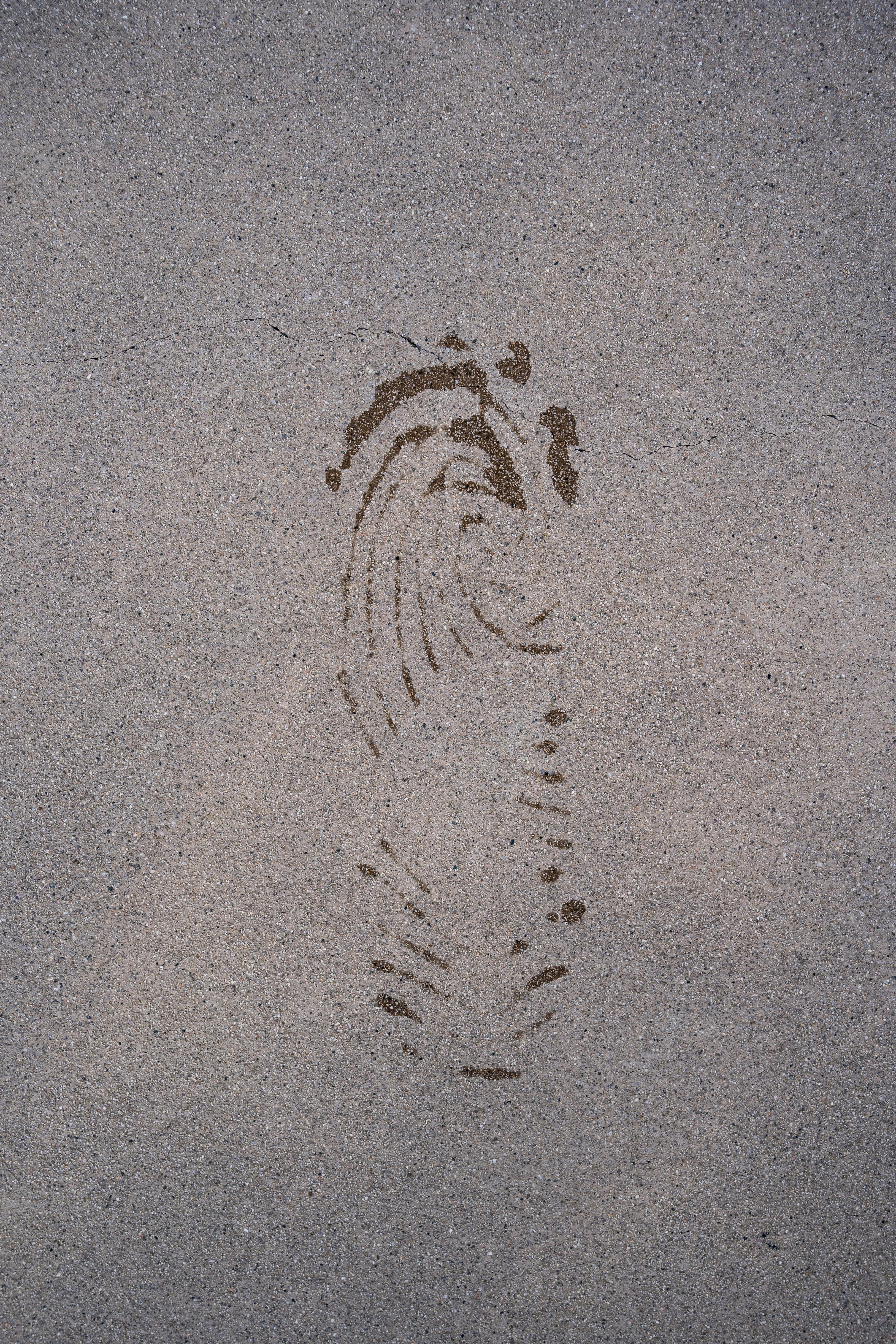 Shoeprint on Concrete Ground · Free Stock Photo