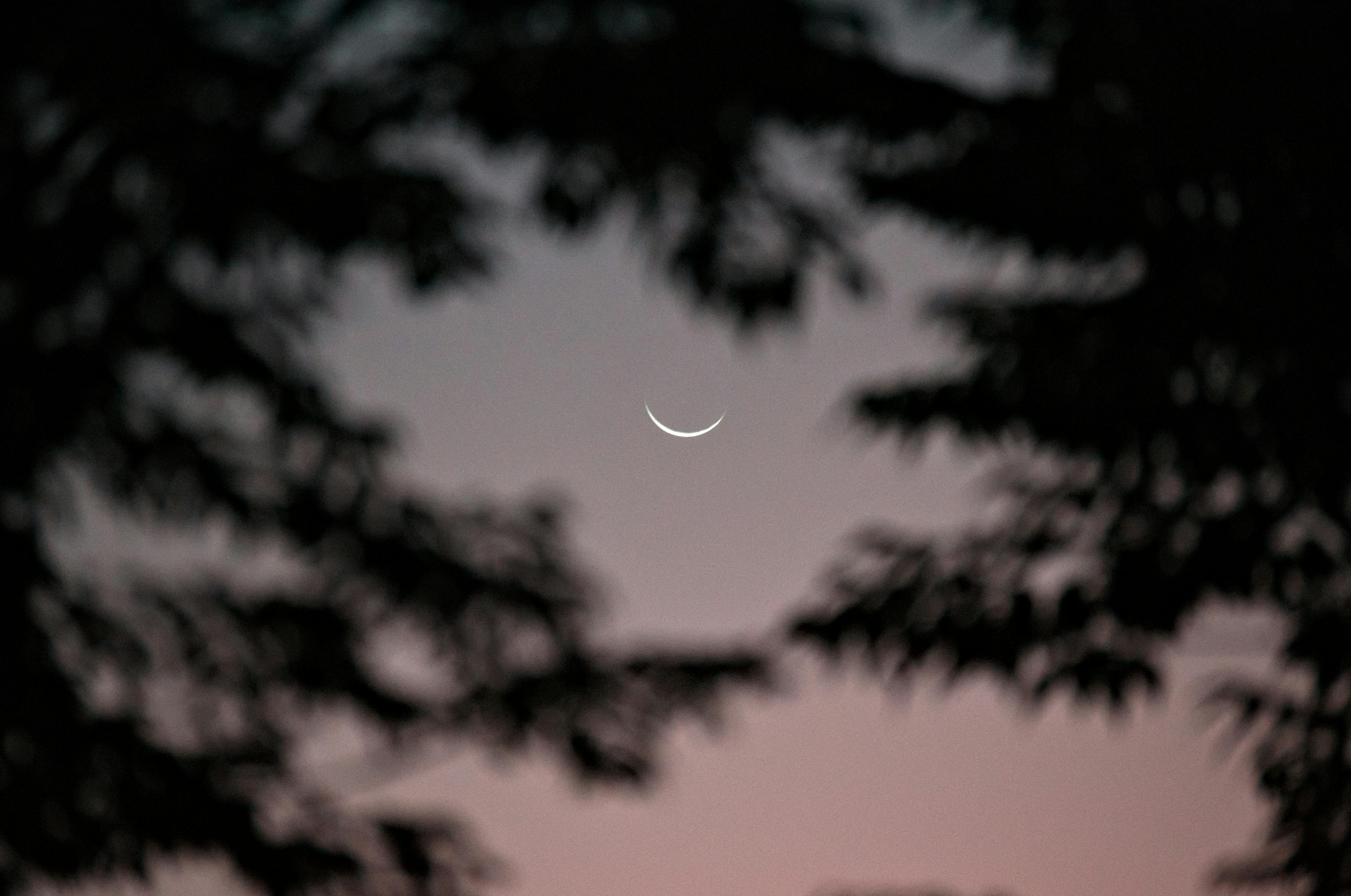 Crescent Moon on a Pink Sunset Sky · Free Stock Photo