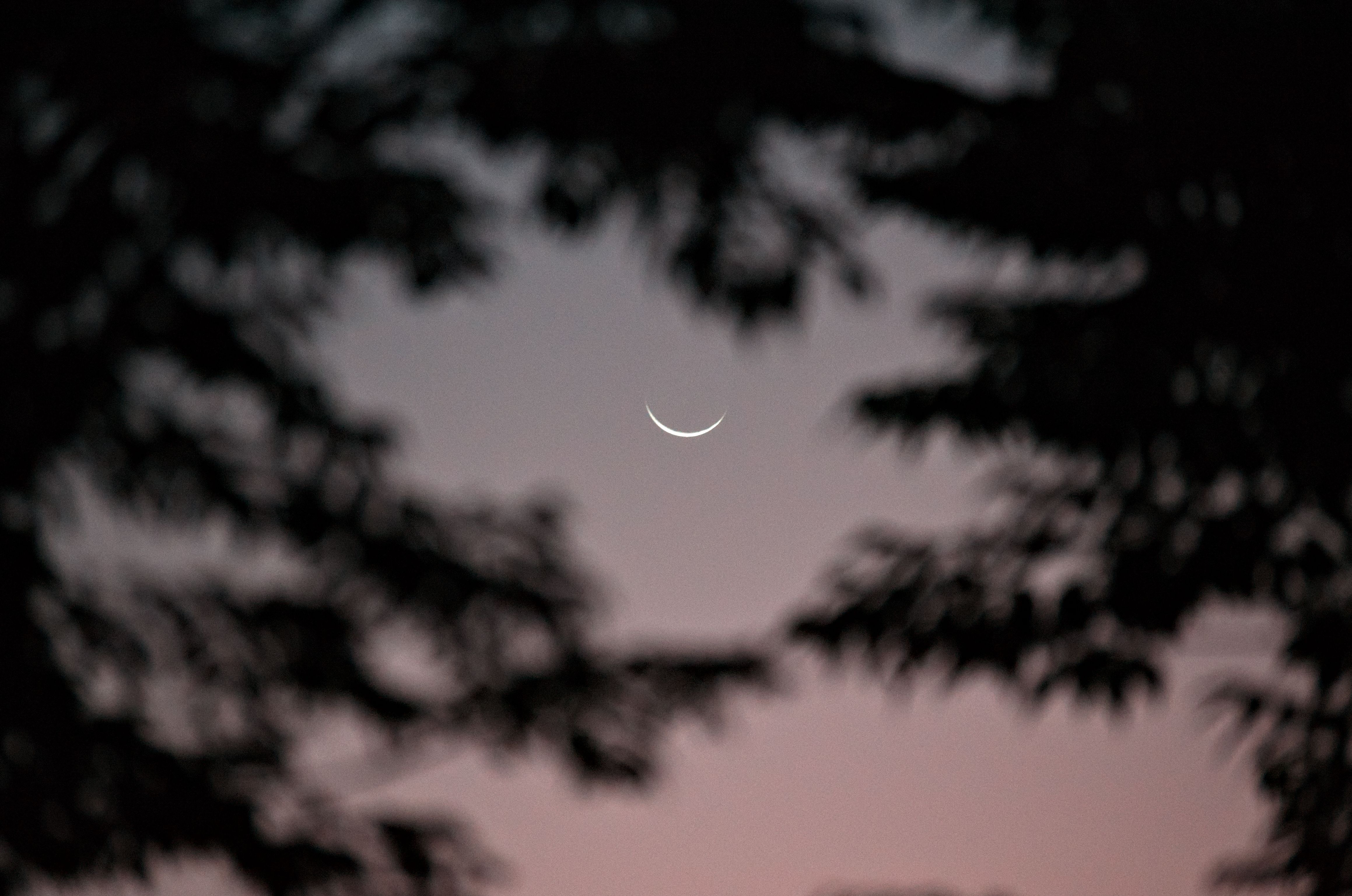 Crescent Moon on a Pink Sunset Sky · Free Stock Photo