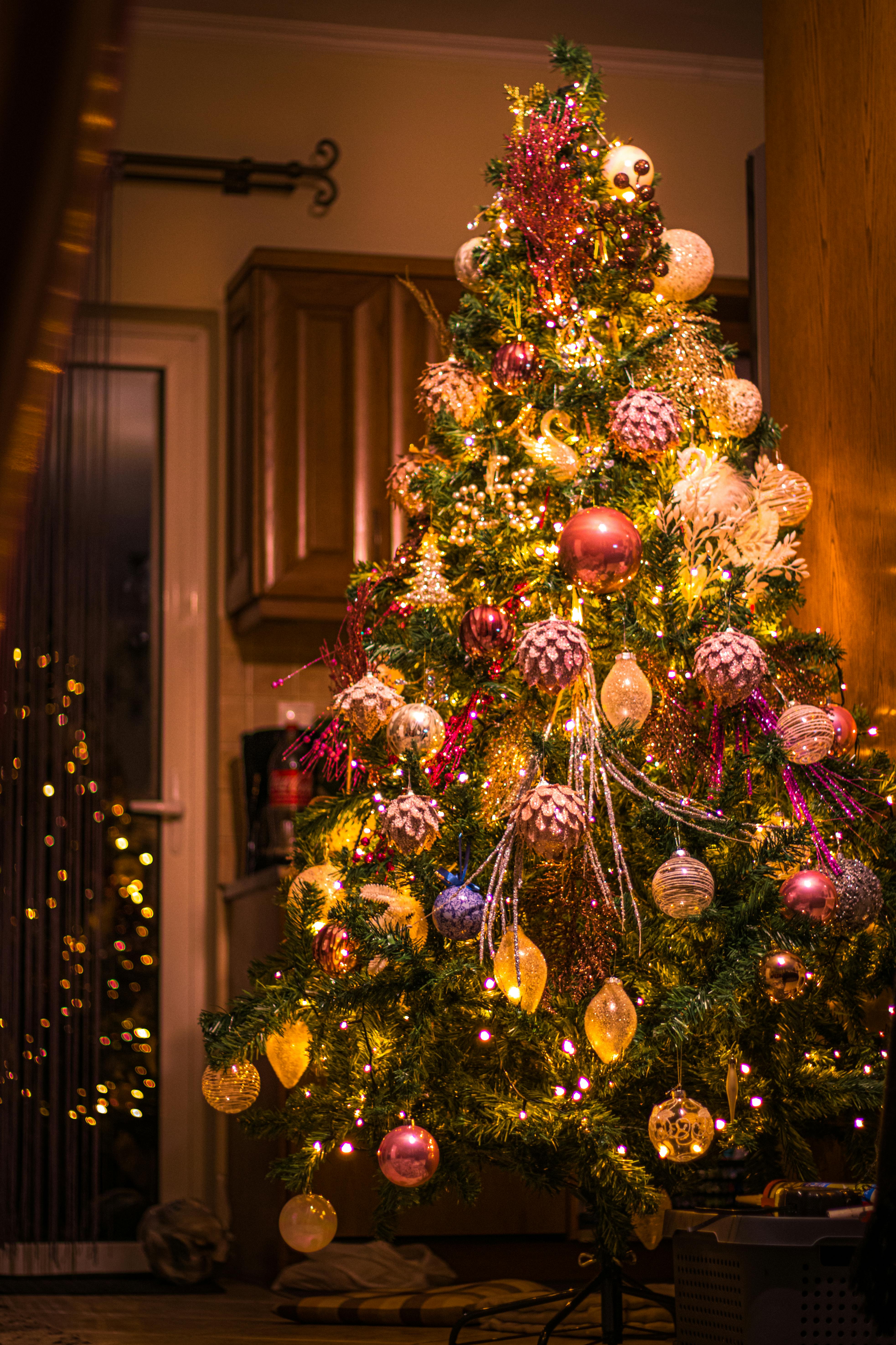 Illuminated Christmas Tree in Close Up Shot · Free Stock Photo