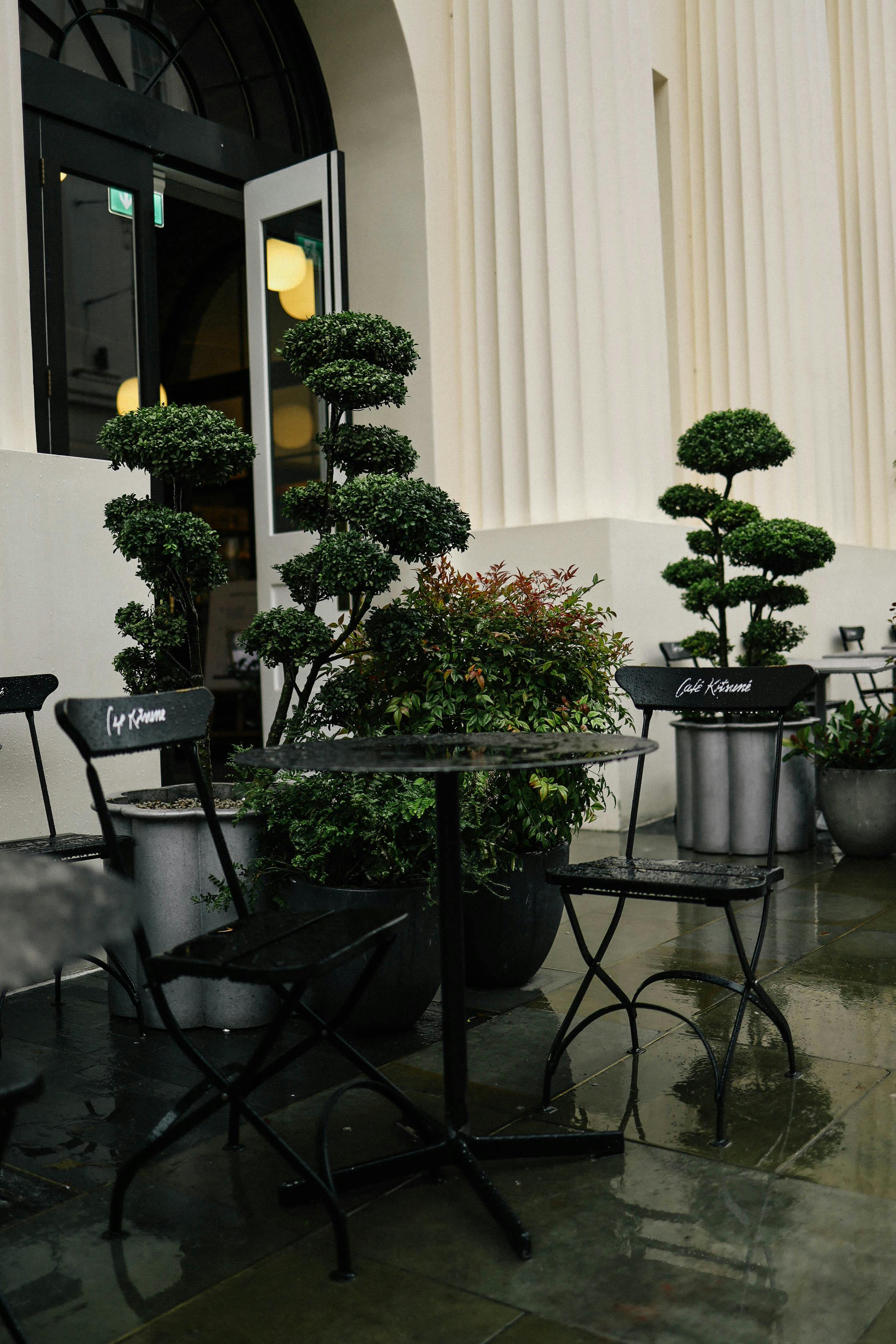 Topiary Decorating an Elegant Restaurant Patio · Free Stock Photo