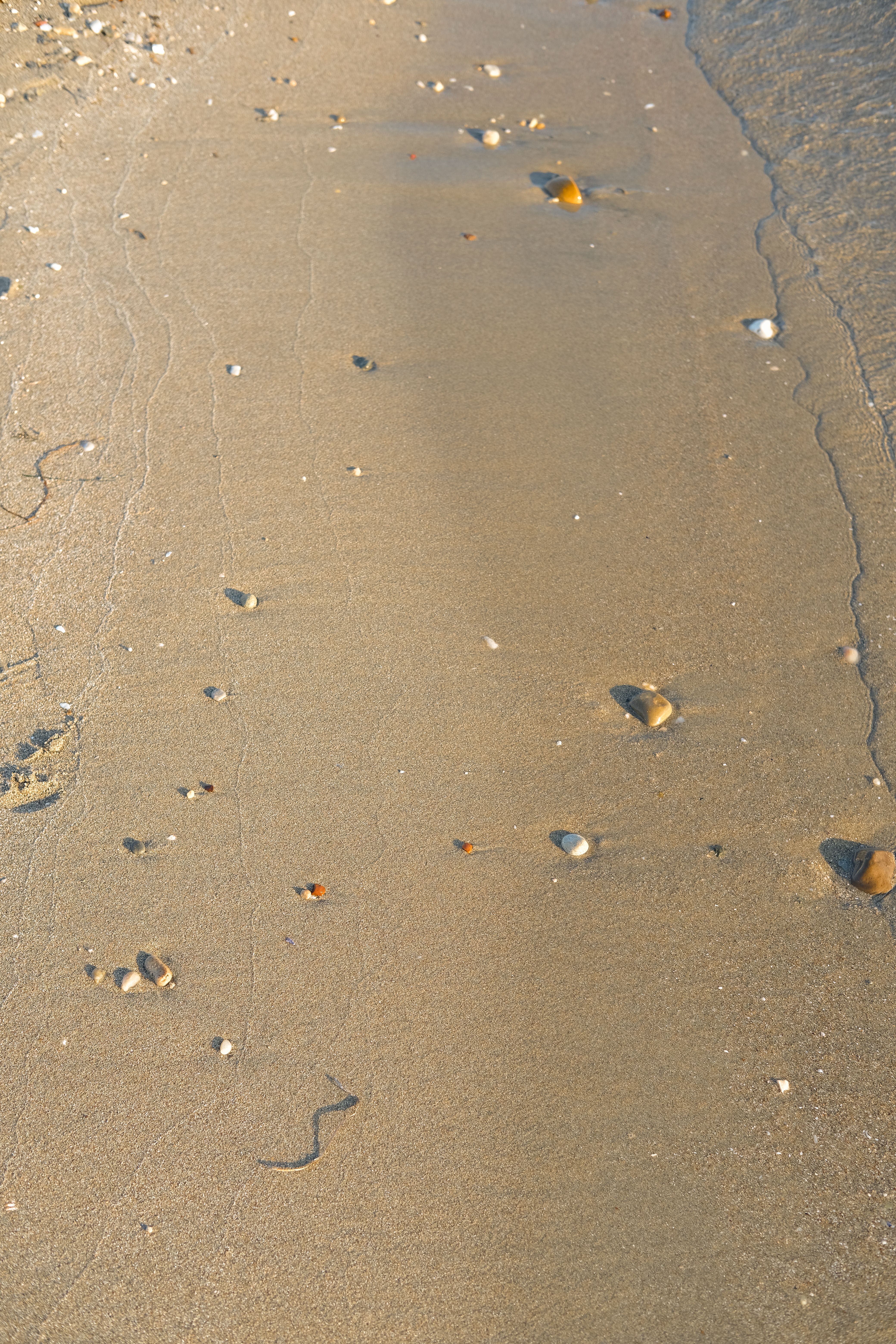 Wet Sand on Beach · Free Stock Photo