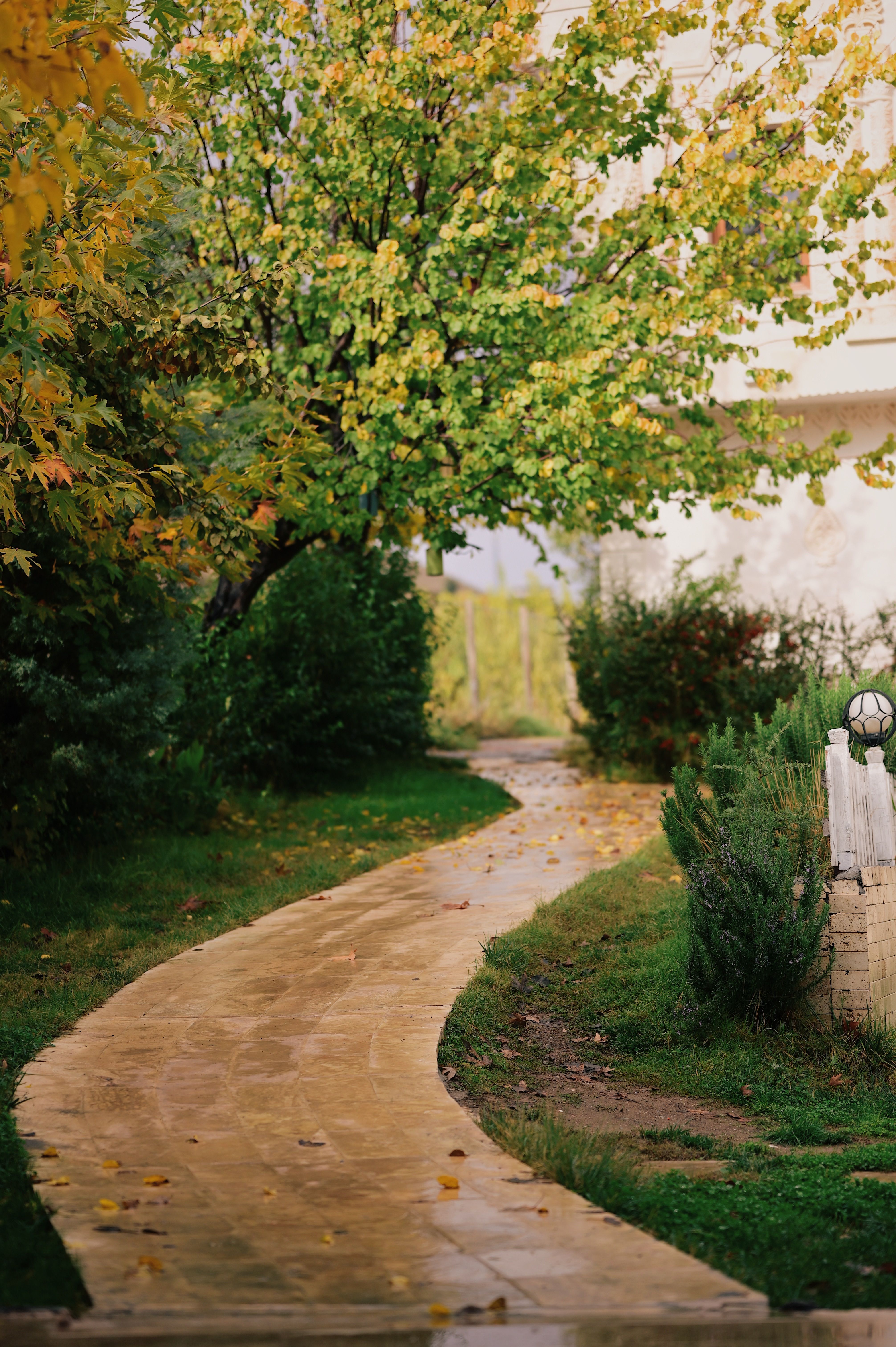 Paved Pathway in the Garden · Free Stock Photo