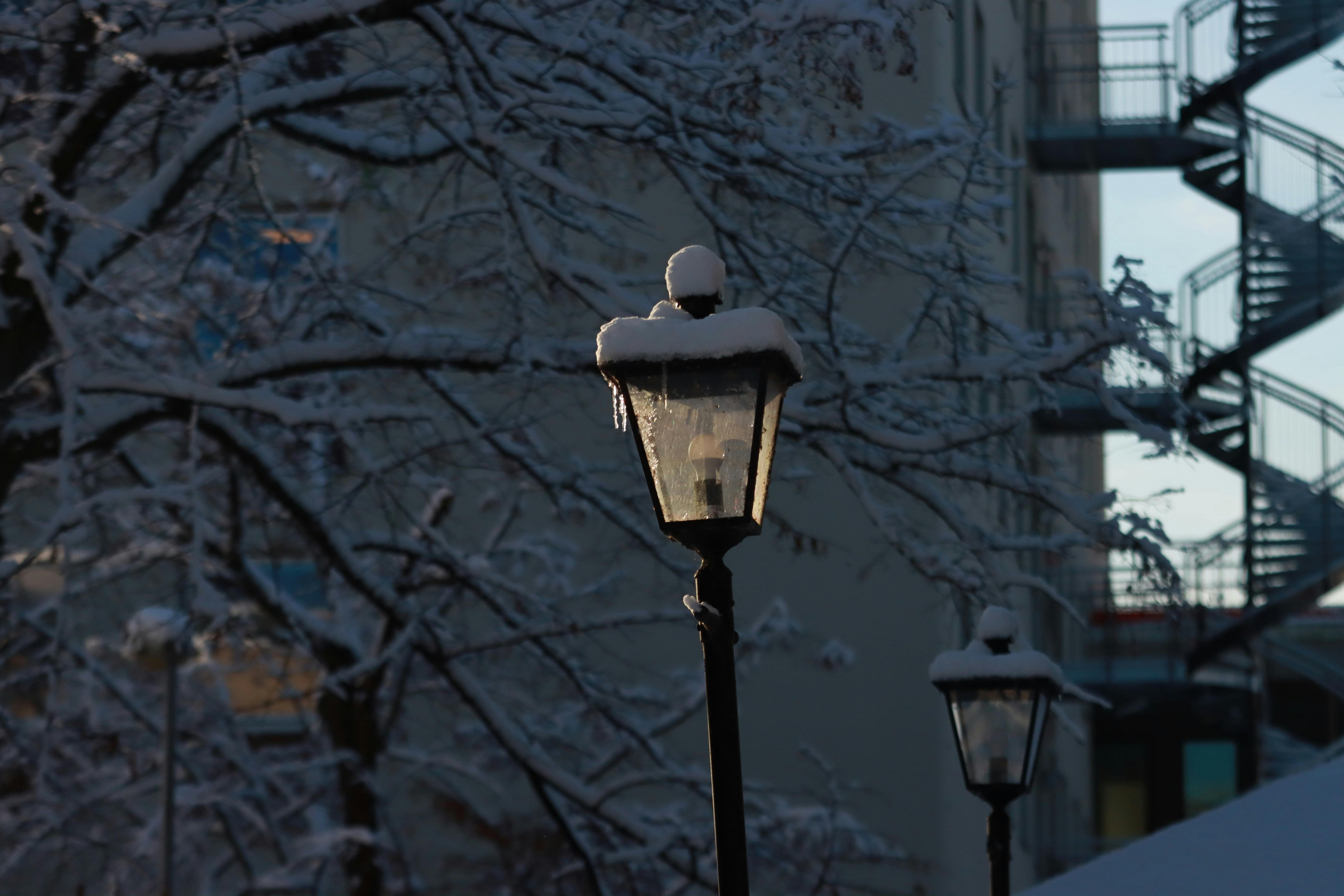 Snow on Street Light · Free Stock Photo