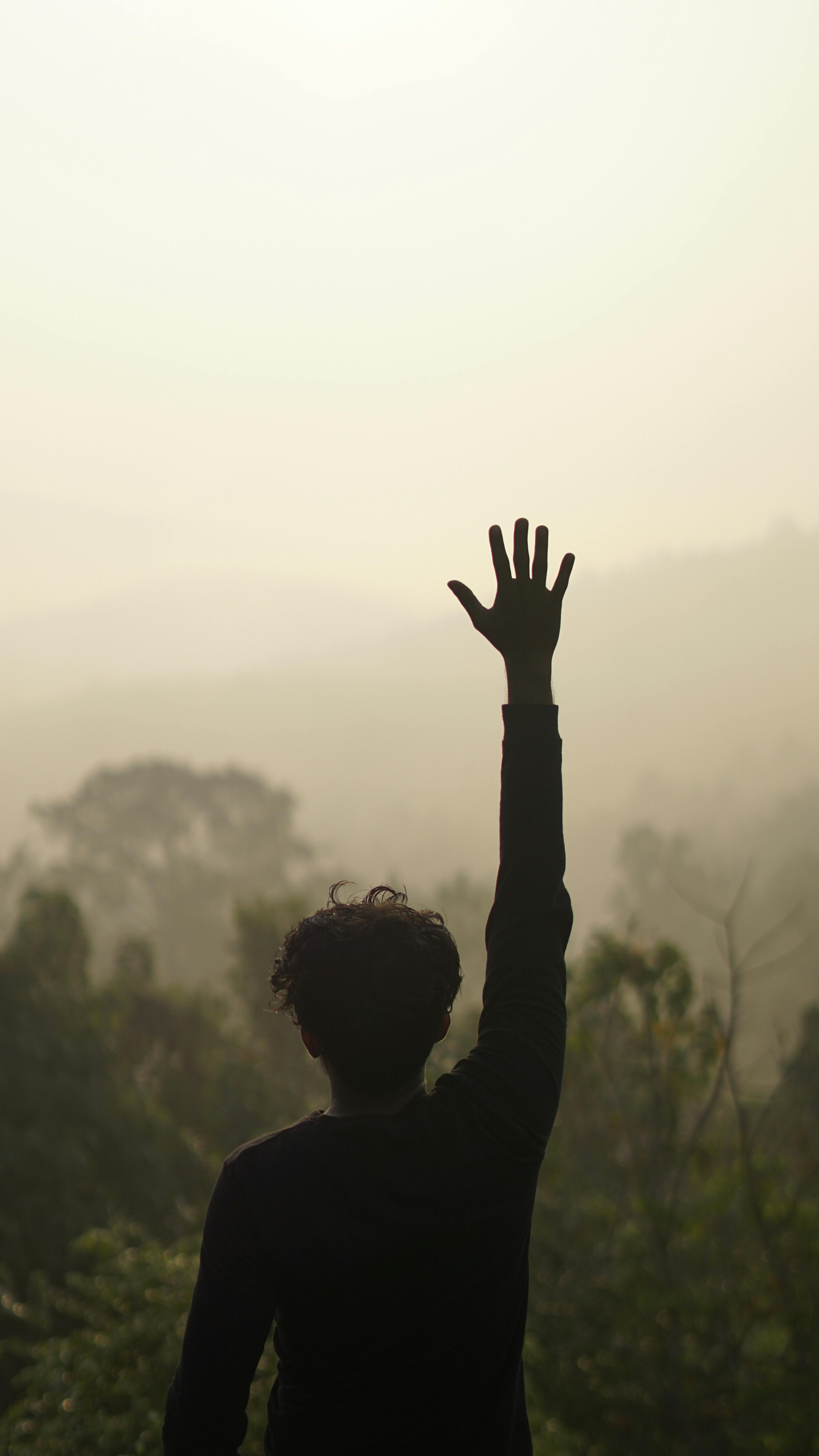 Human In Forest Photos, Download Free Human In Forest Stock Photos & HD ...