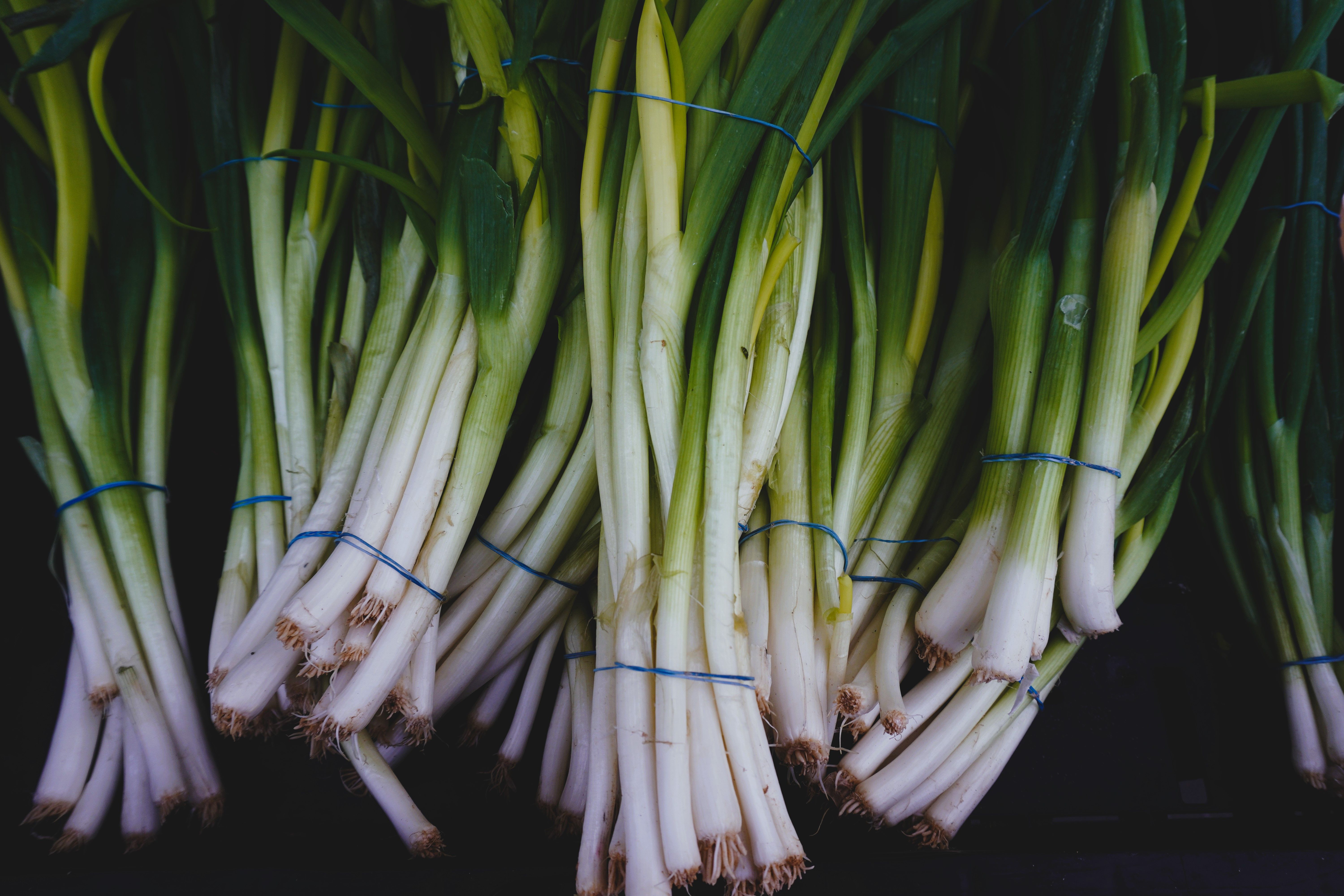 Scallions on Display · Free Stock Photo