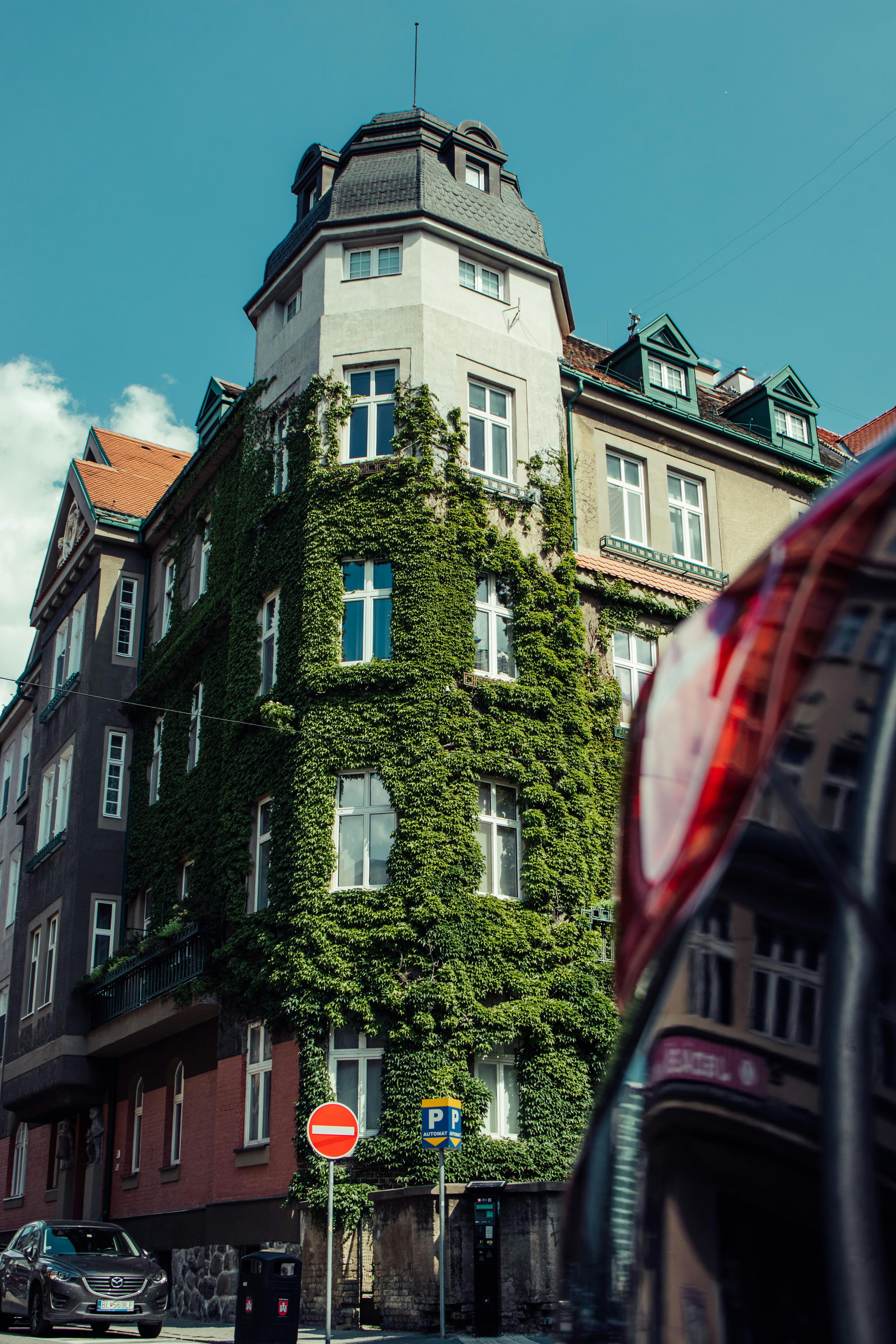 Ivy on Building Facade · Free Stock Photo