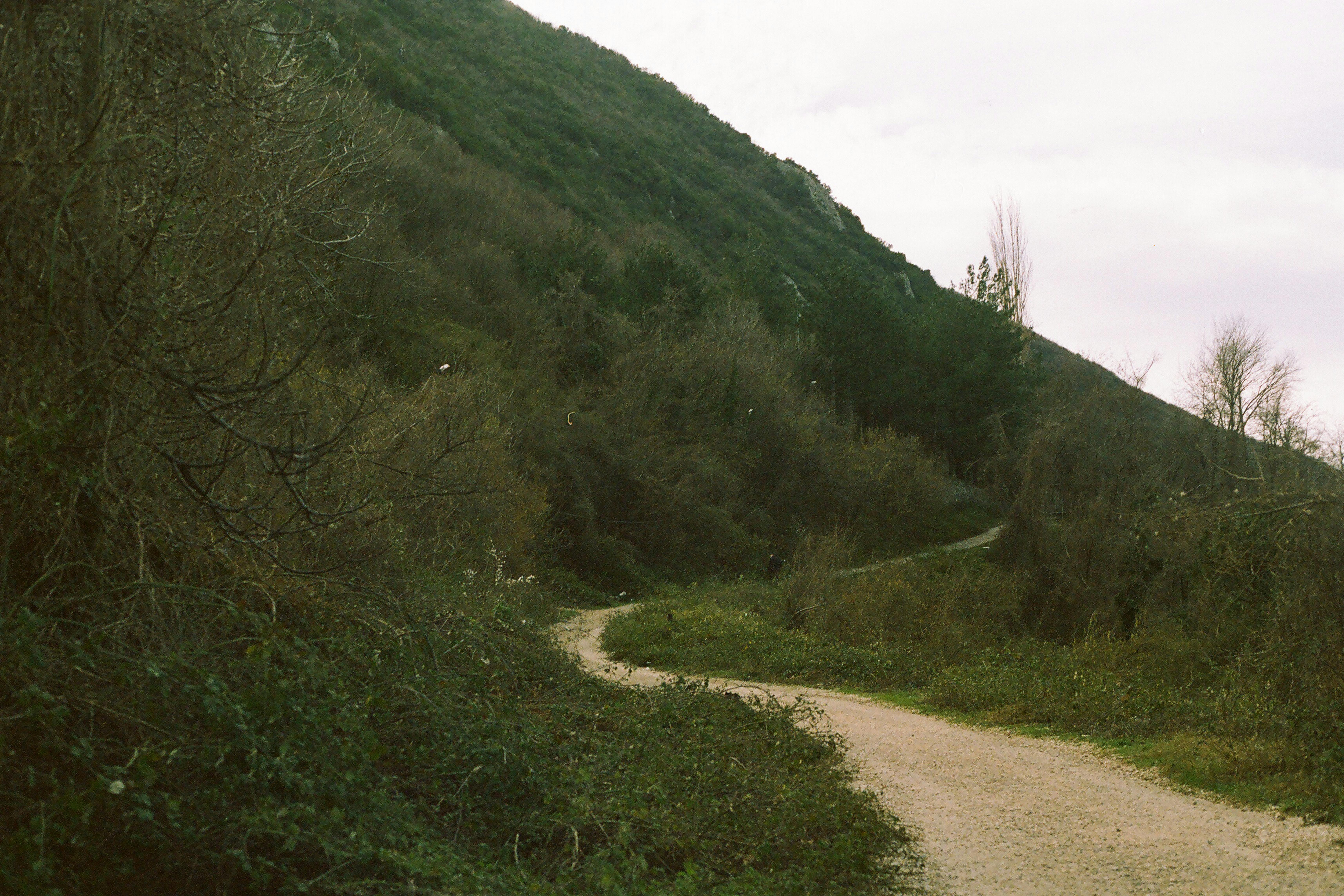 Unpaved Pathway Near Green Mountain · Free Stock Photo
