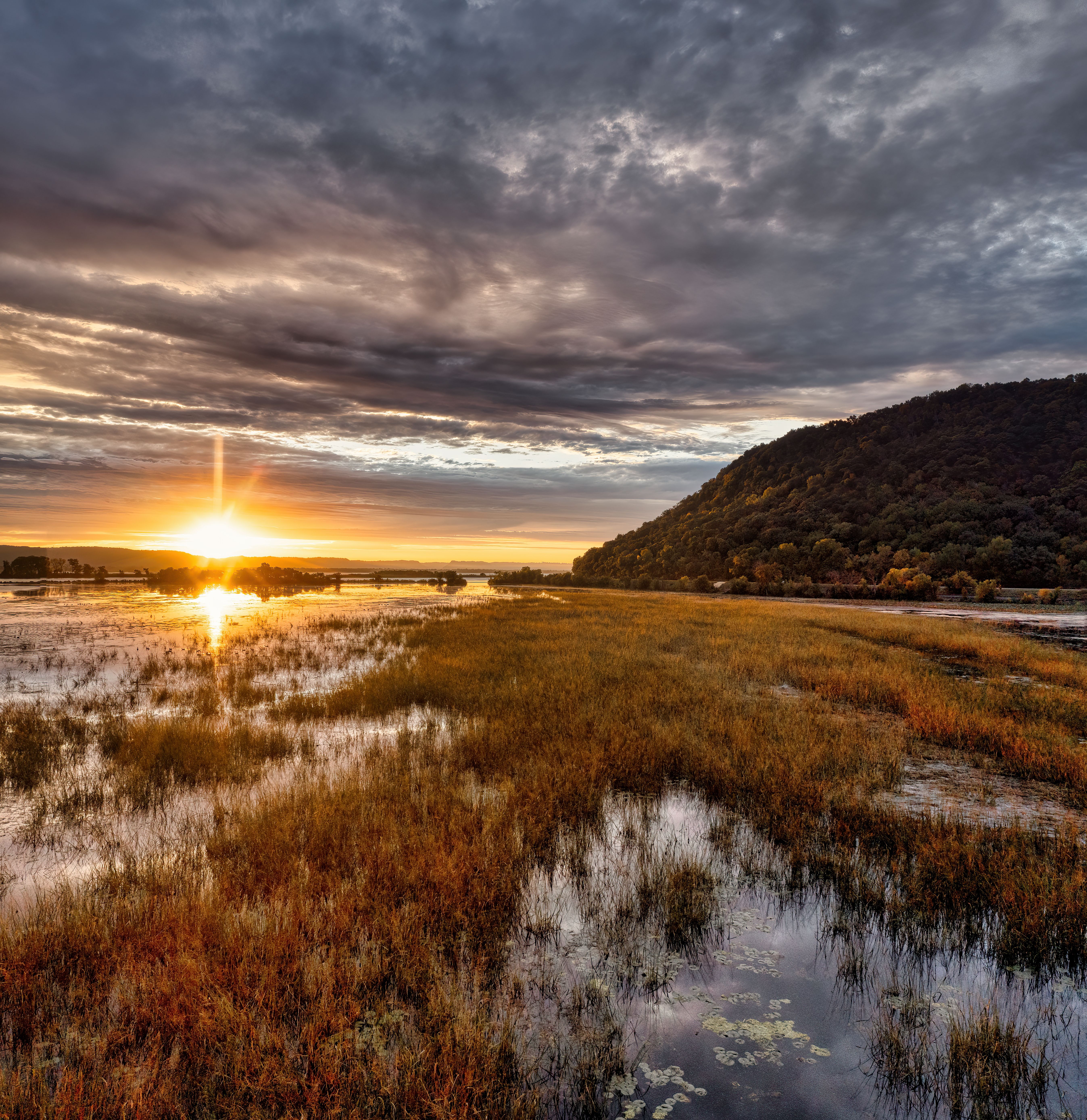 Wetland at Sunset · Free Stock Photo