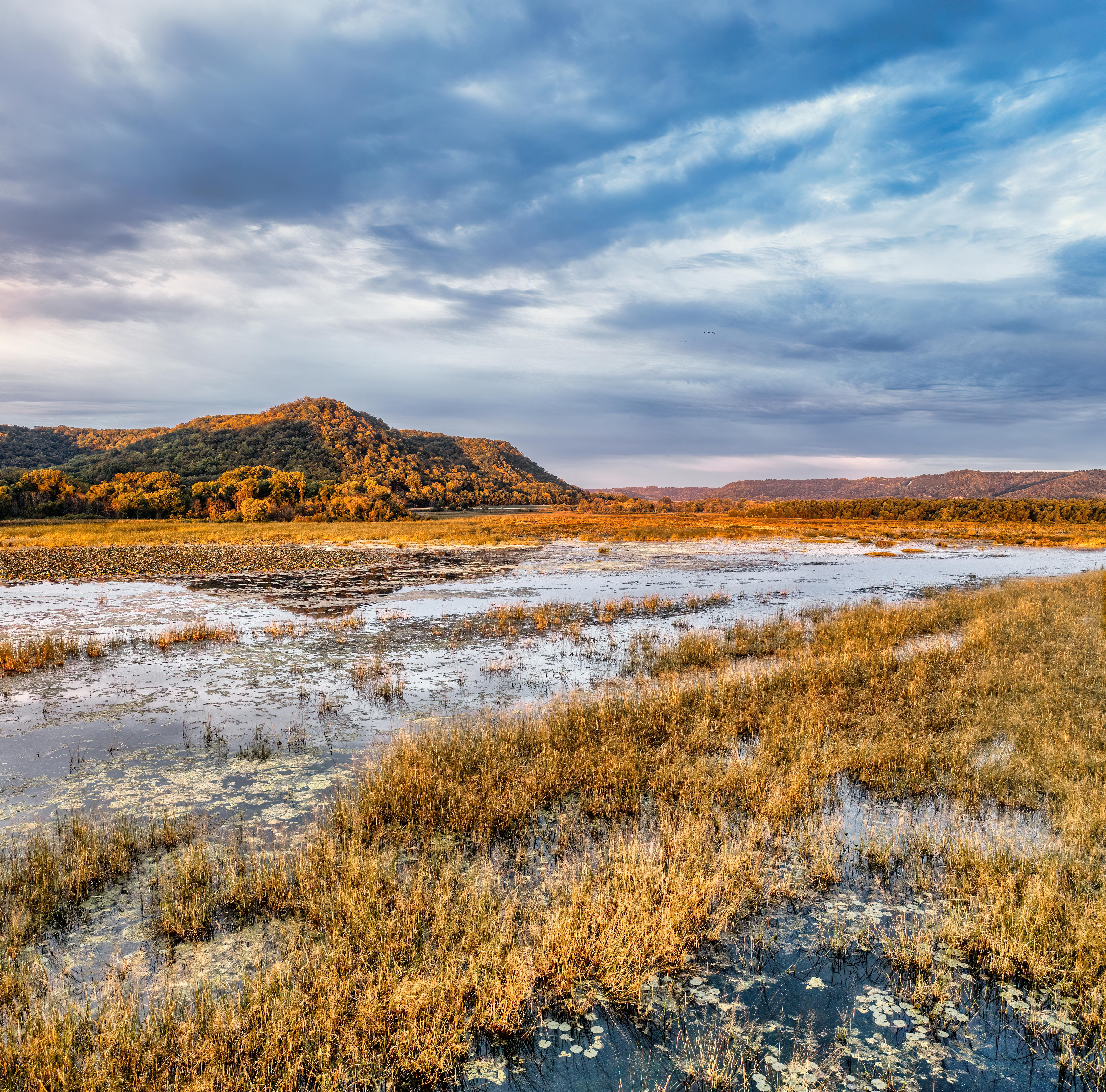 Reed Growing in Marsh in Mountains Landscape · Free Stock Photo