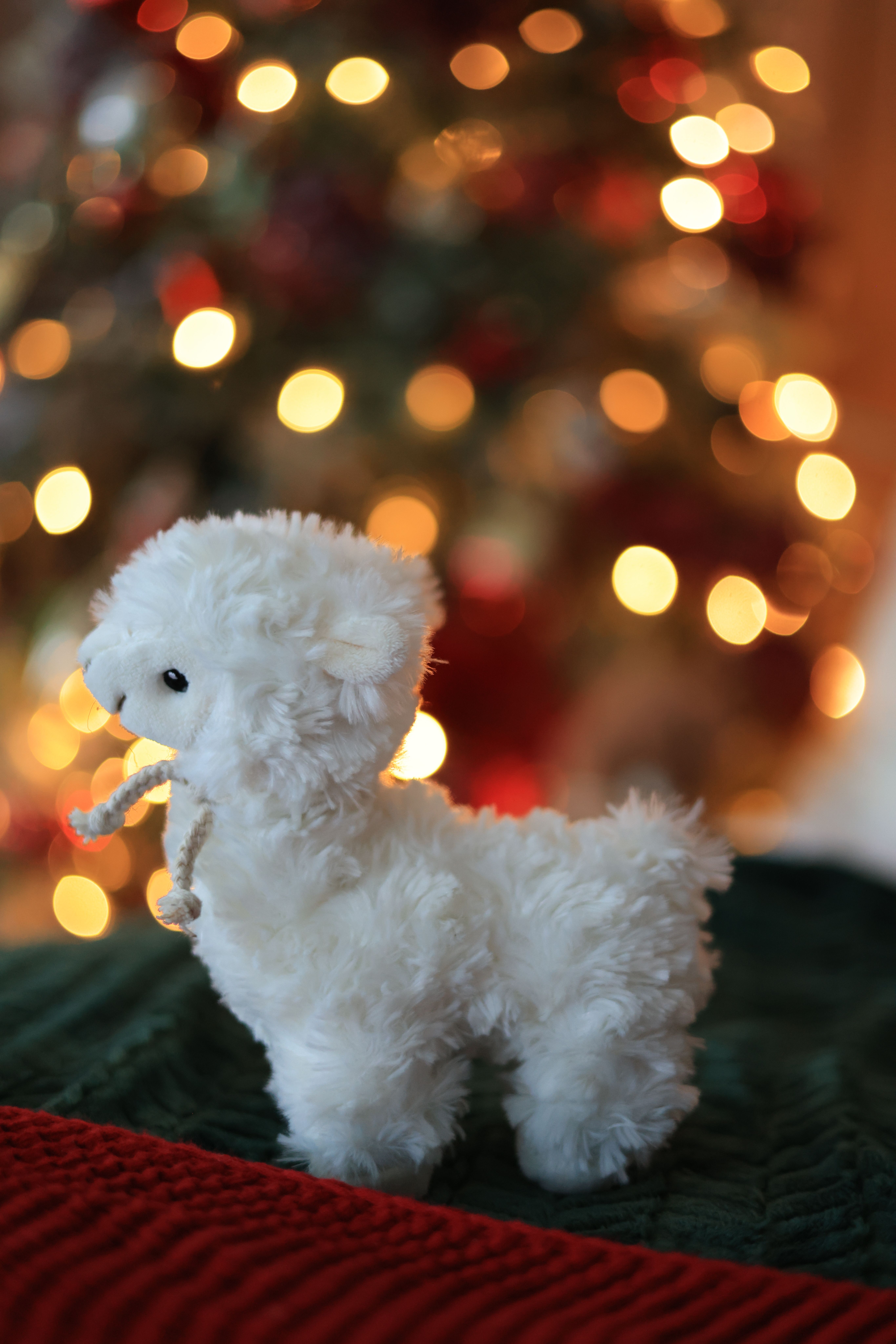 White Sheep Plush Toy · Free Stock Photo